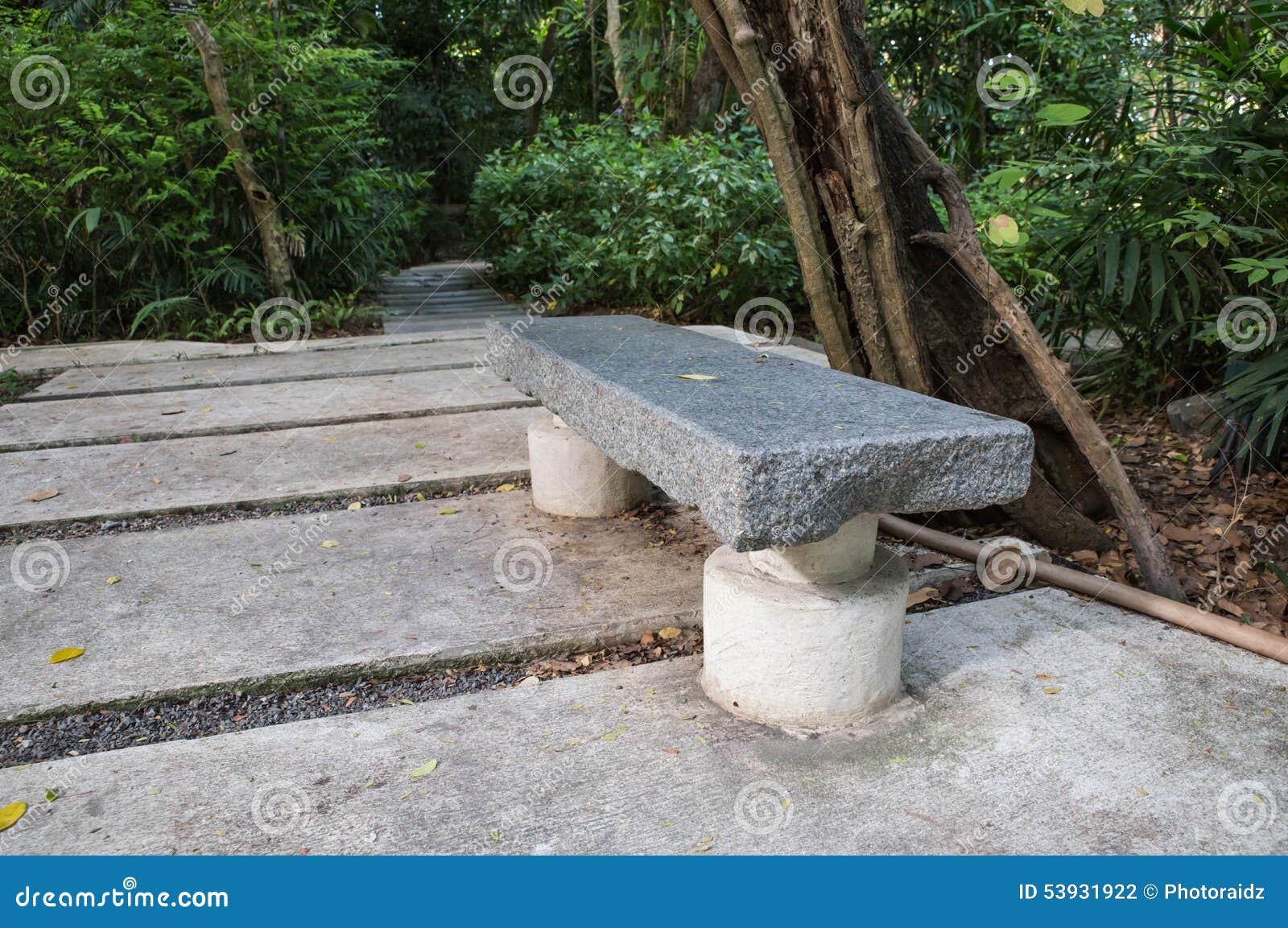 Bench and Walkway in the Garden Stock Photo - Image of landscape ...