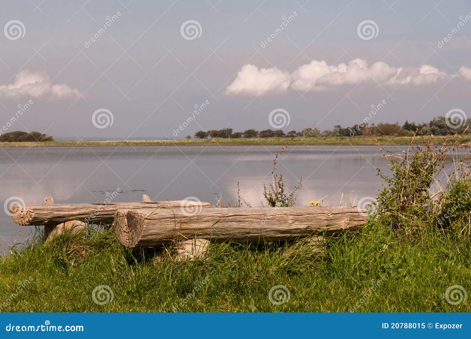 Bench by the water stock image. Image of nature, path - 20788015