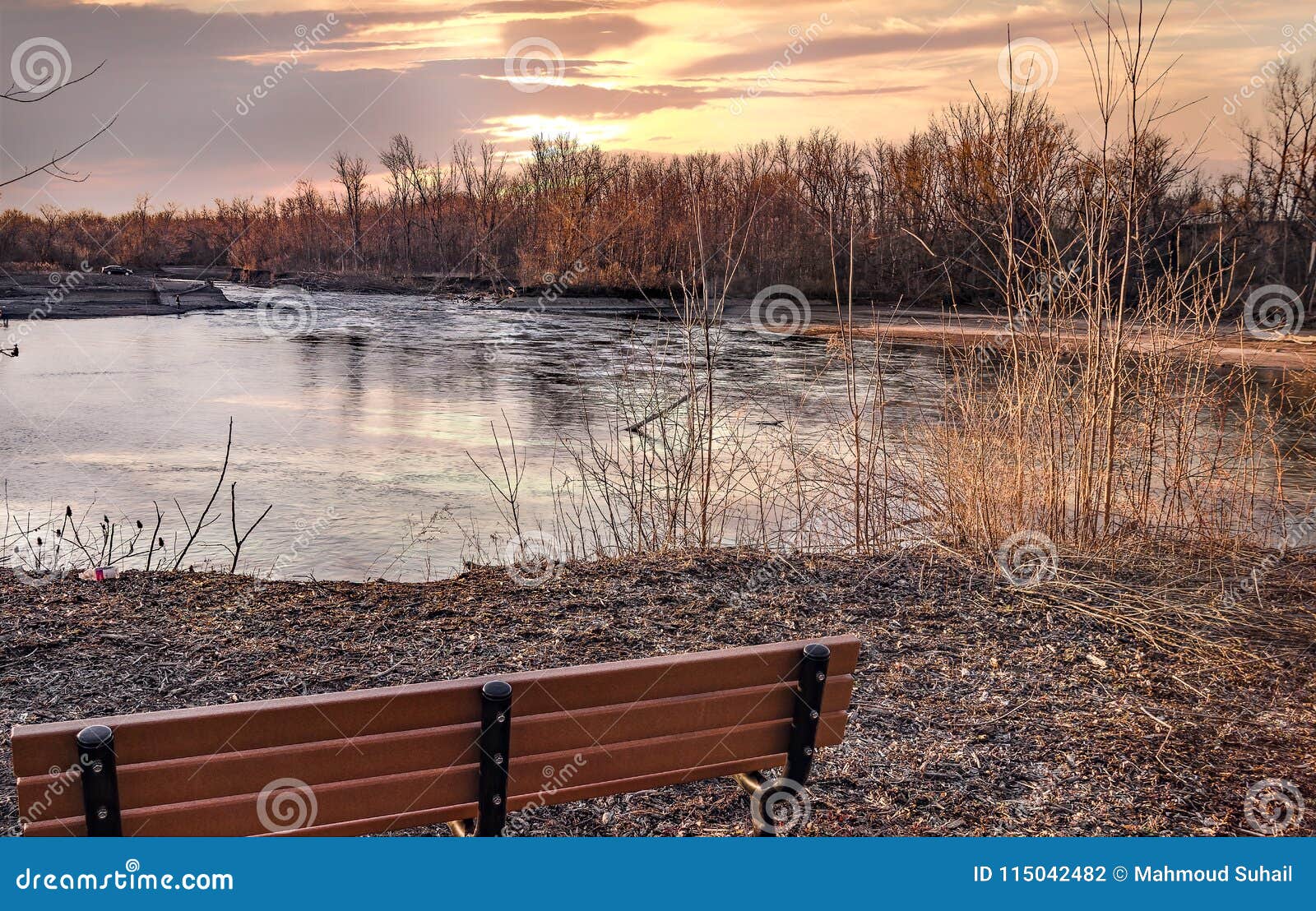 Bench by the Water stock photo. Image of forest, river - 115042482