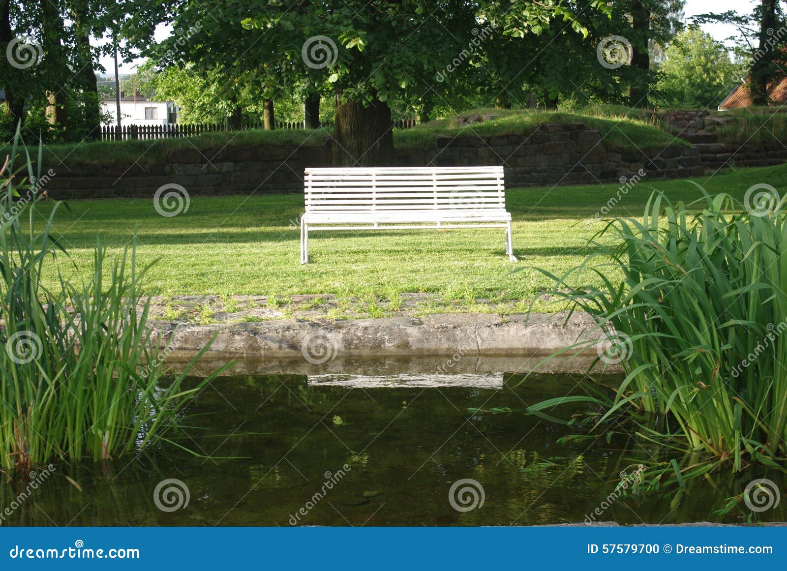 Bench and water stock photo. Image of reflecting, water - 57579700