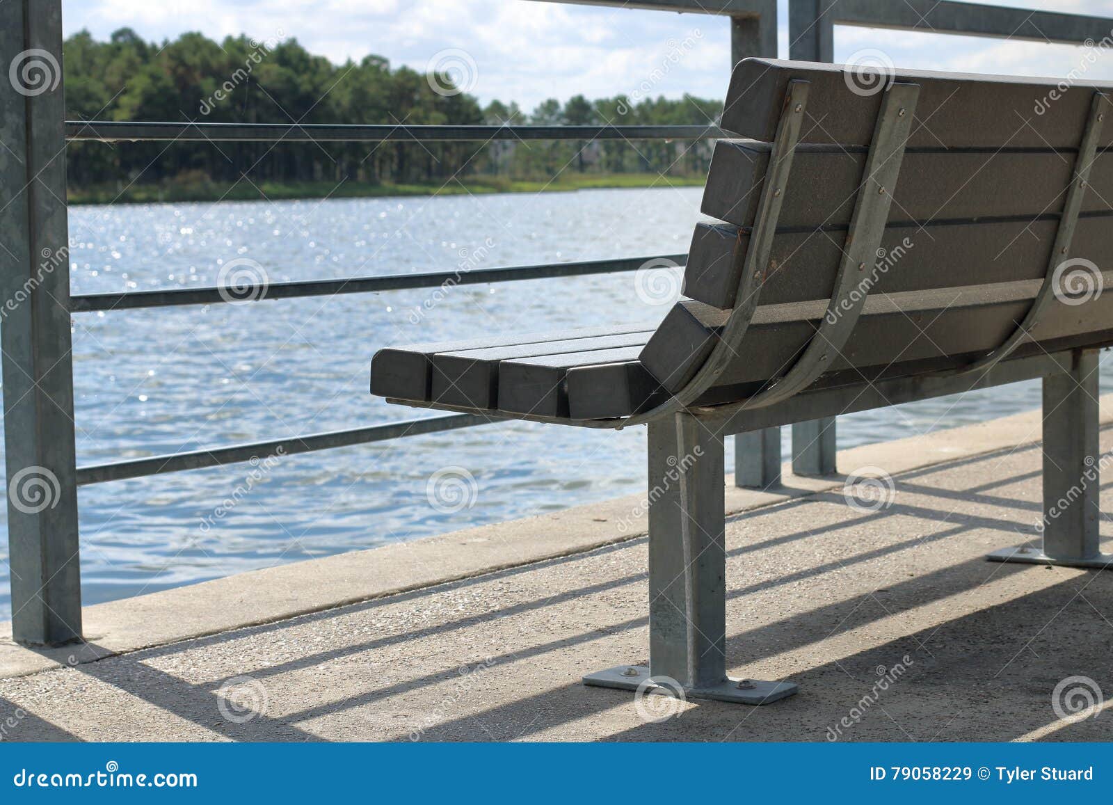 Bench by water stock image. Image of green, seat, trees - 79058229
