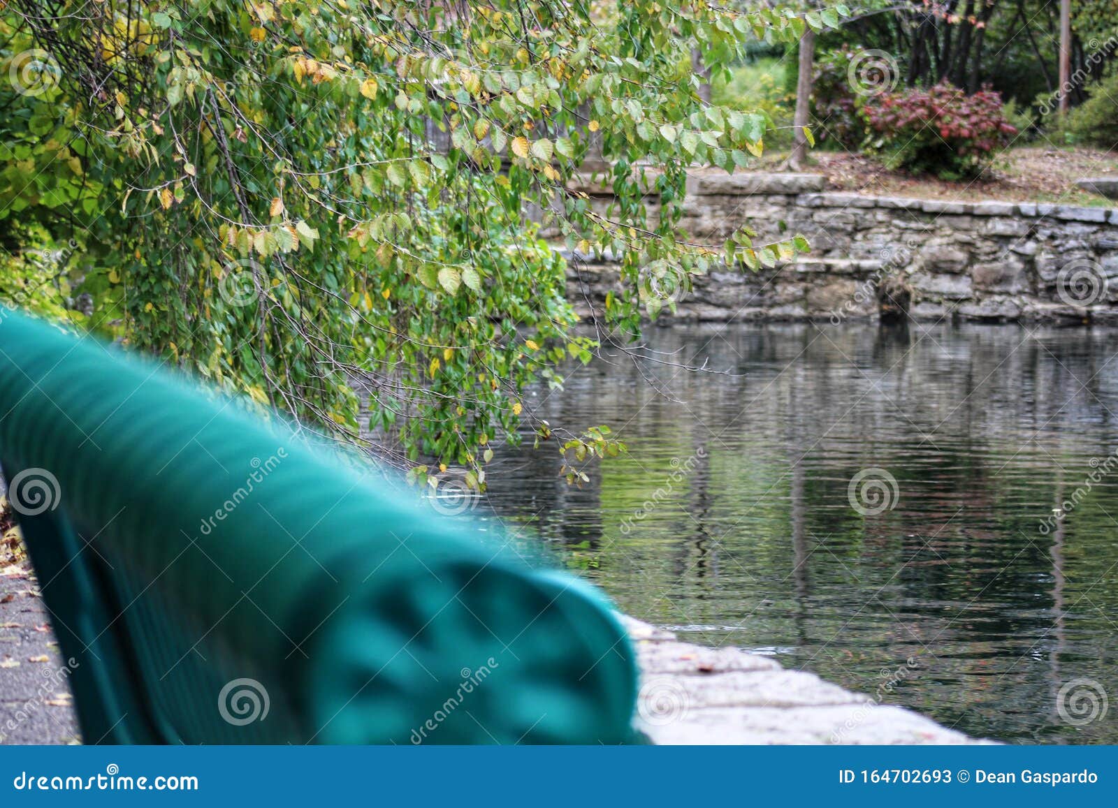 Bench by Water stock image. Image of park, water, bench - 164702693