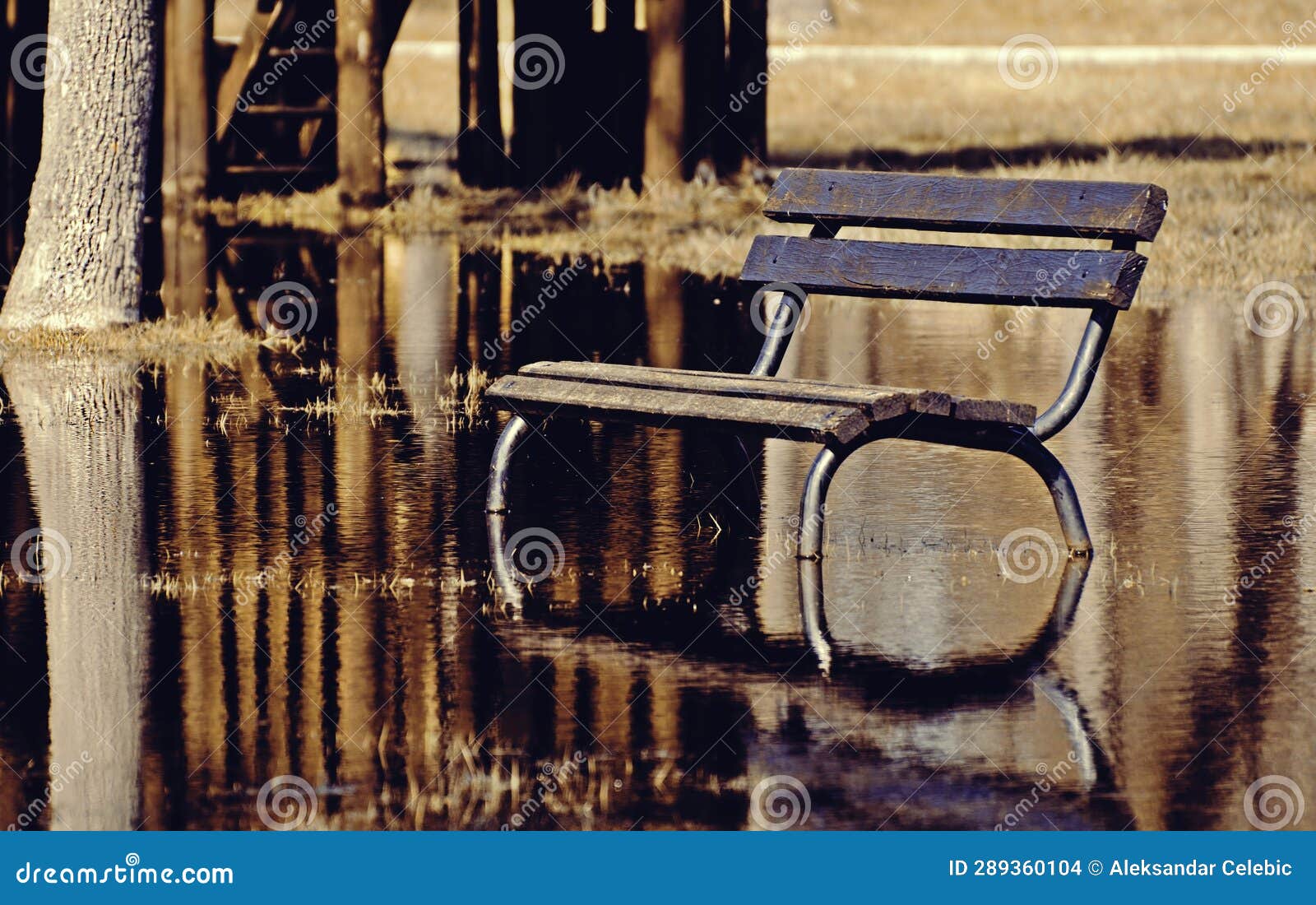 Bench in the Water and Reflection. Stock Photo - Image of reflection ...