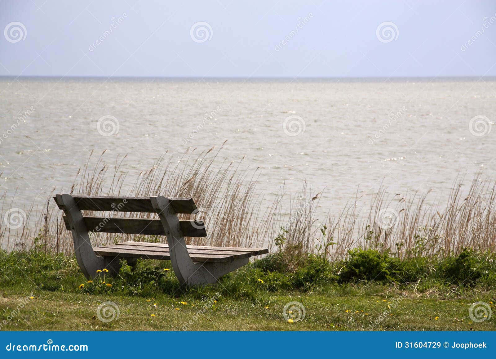 Bench on the water stock image. Image of holland, green - 31604729