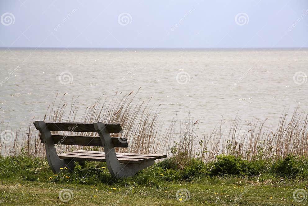Bench on the water stock image. Image of grass, holland - 31608151