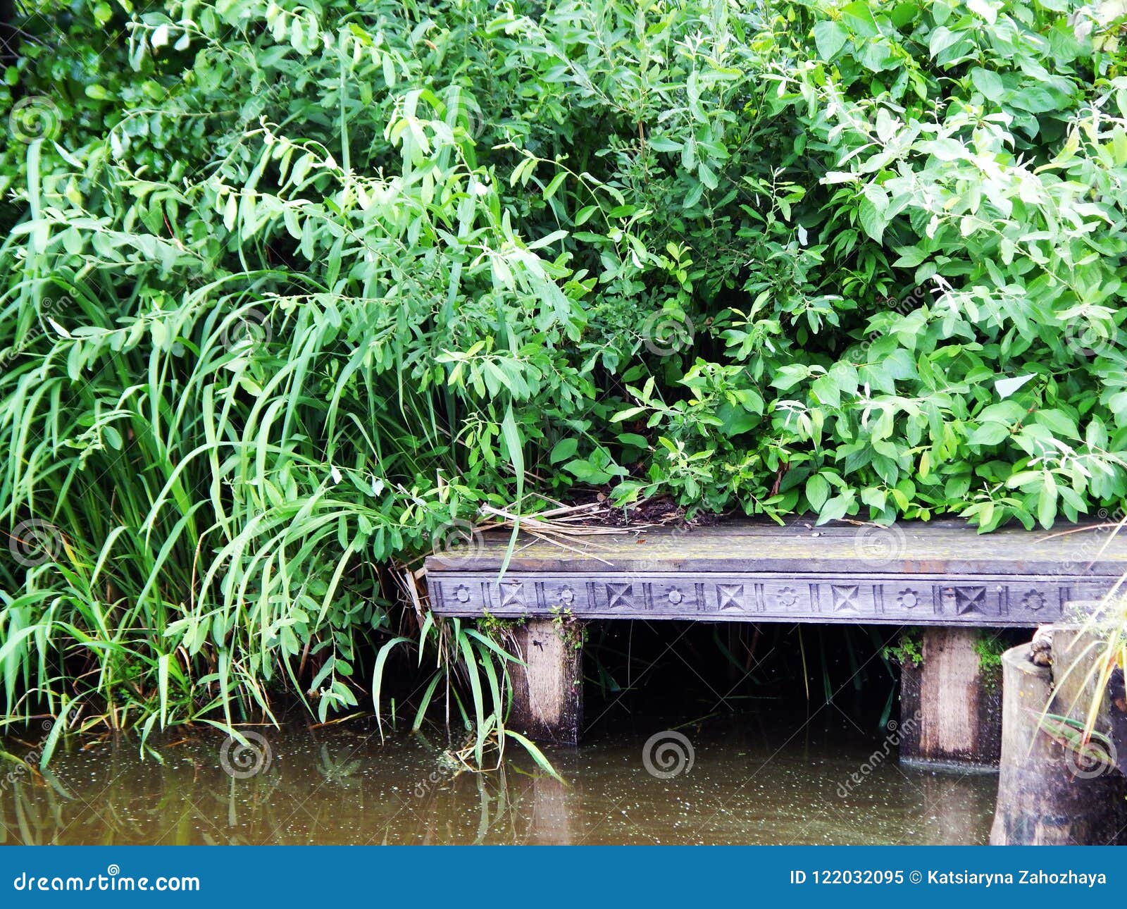 A bench in the water stock image. Image of nature, river - 122032095