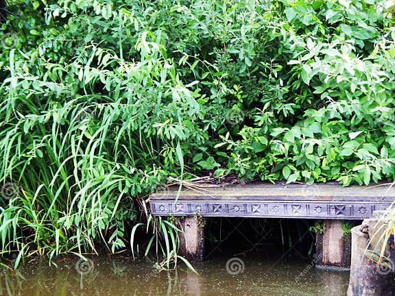 A bench in the water stock image. Image of nature, river - 122032095
