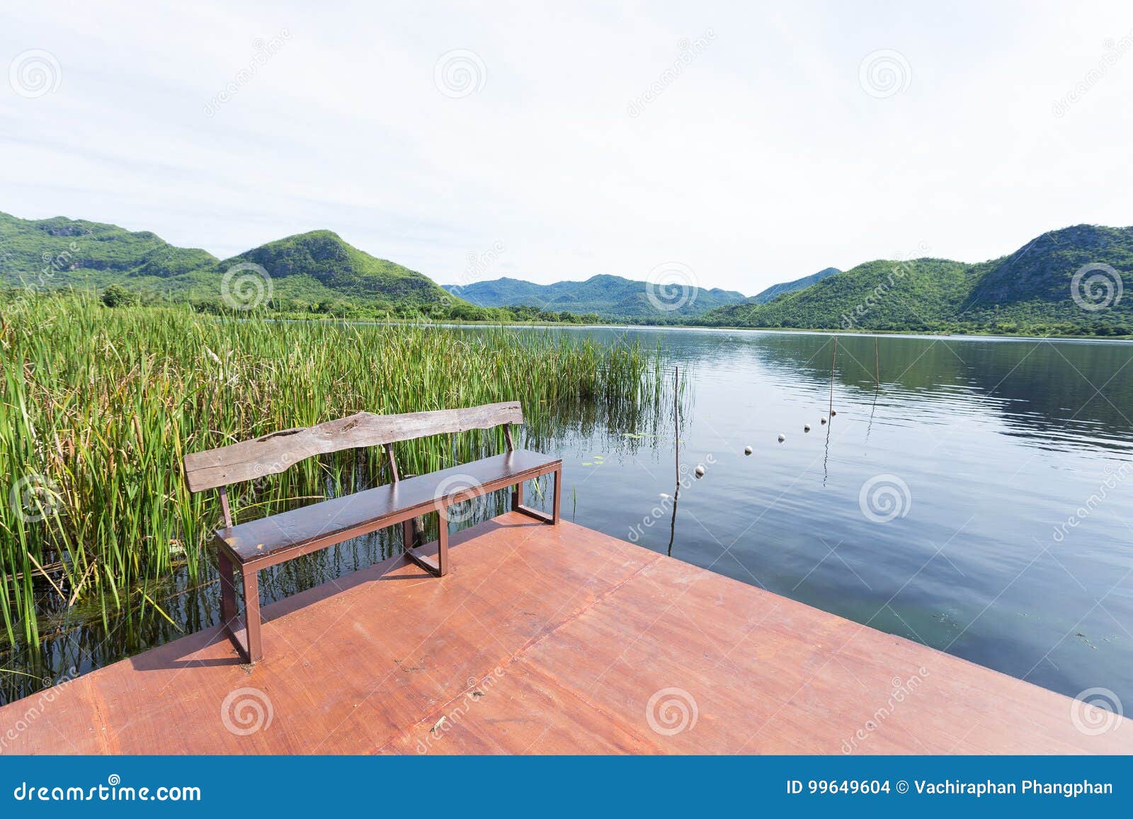 Bench on the water. stock photo. Image of beautiful, landscape - 99649604