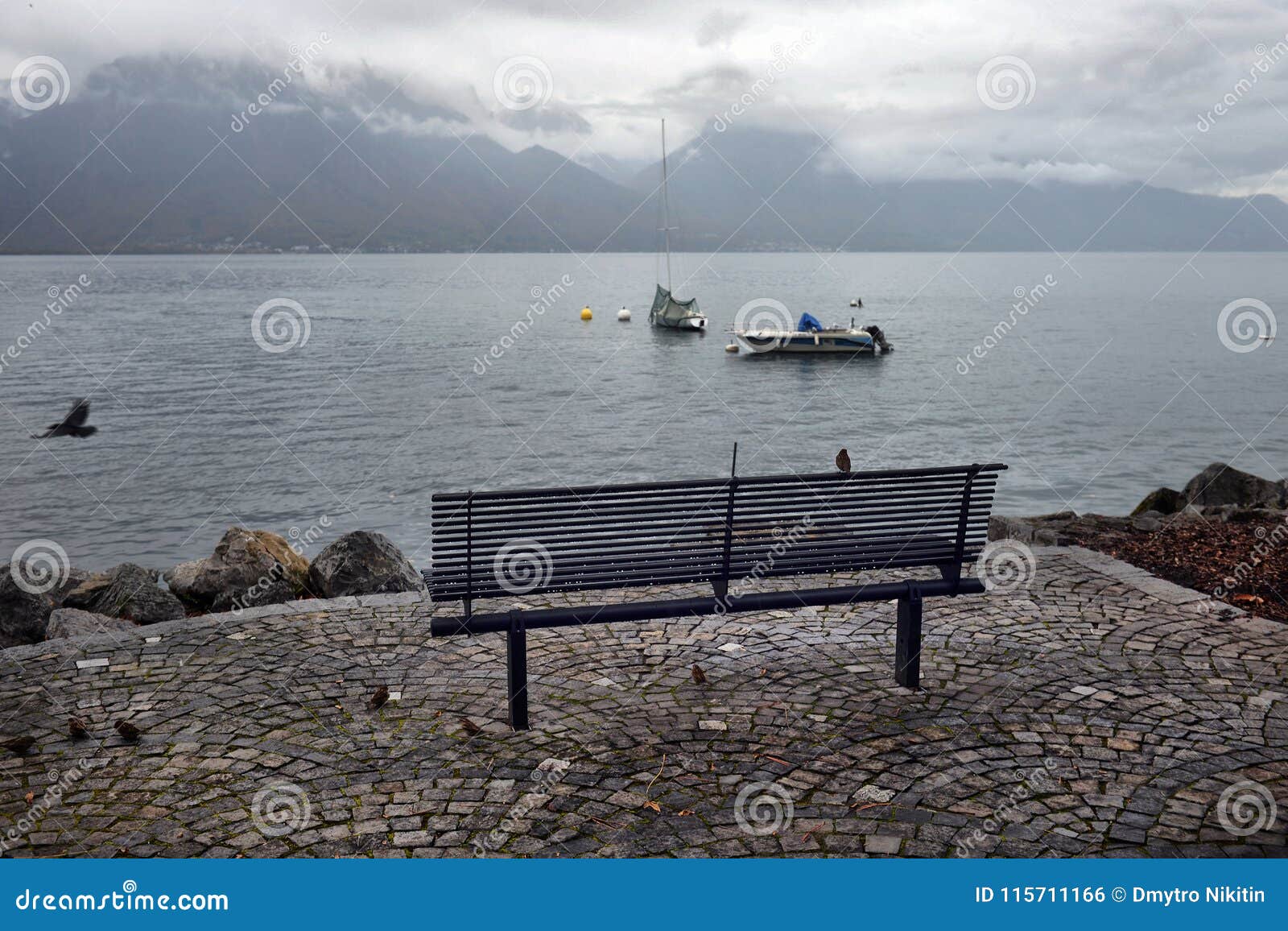 Bench on the Waterfront on the Lake Stock Photo - Image of bench, chula ...