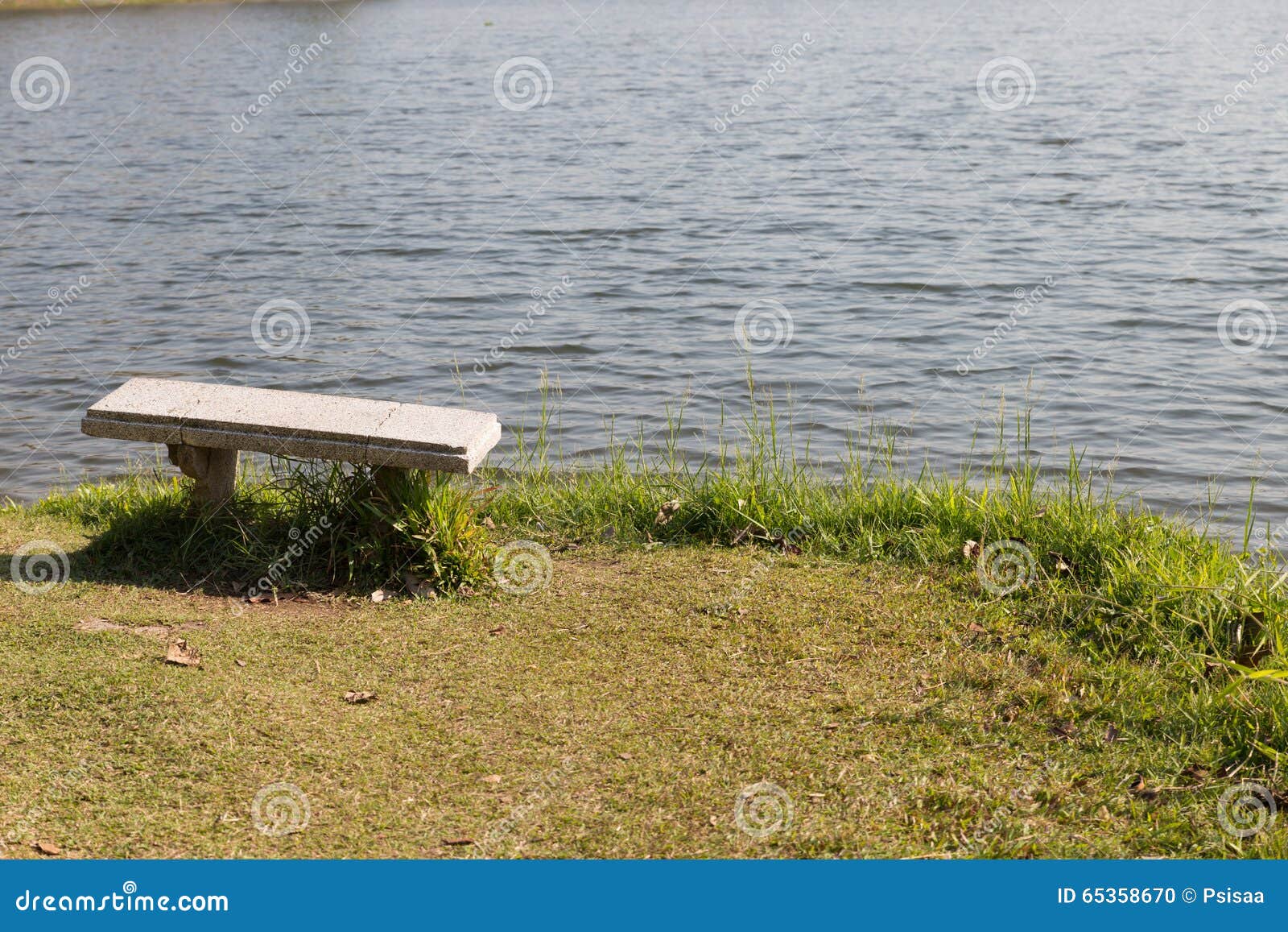 Bench at the Waterside of the Pond Stock Photo - Image of water, seat ...