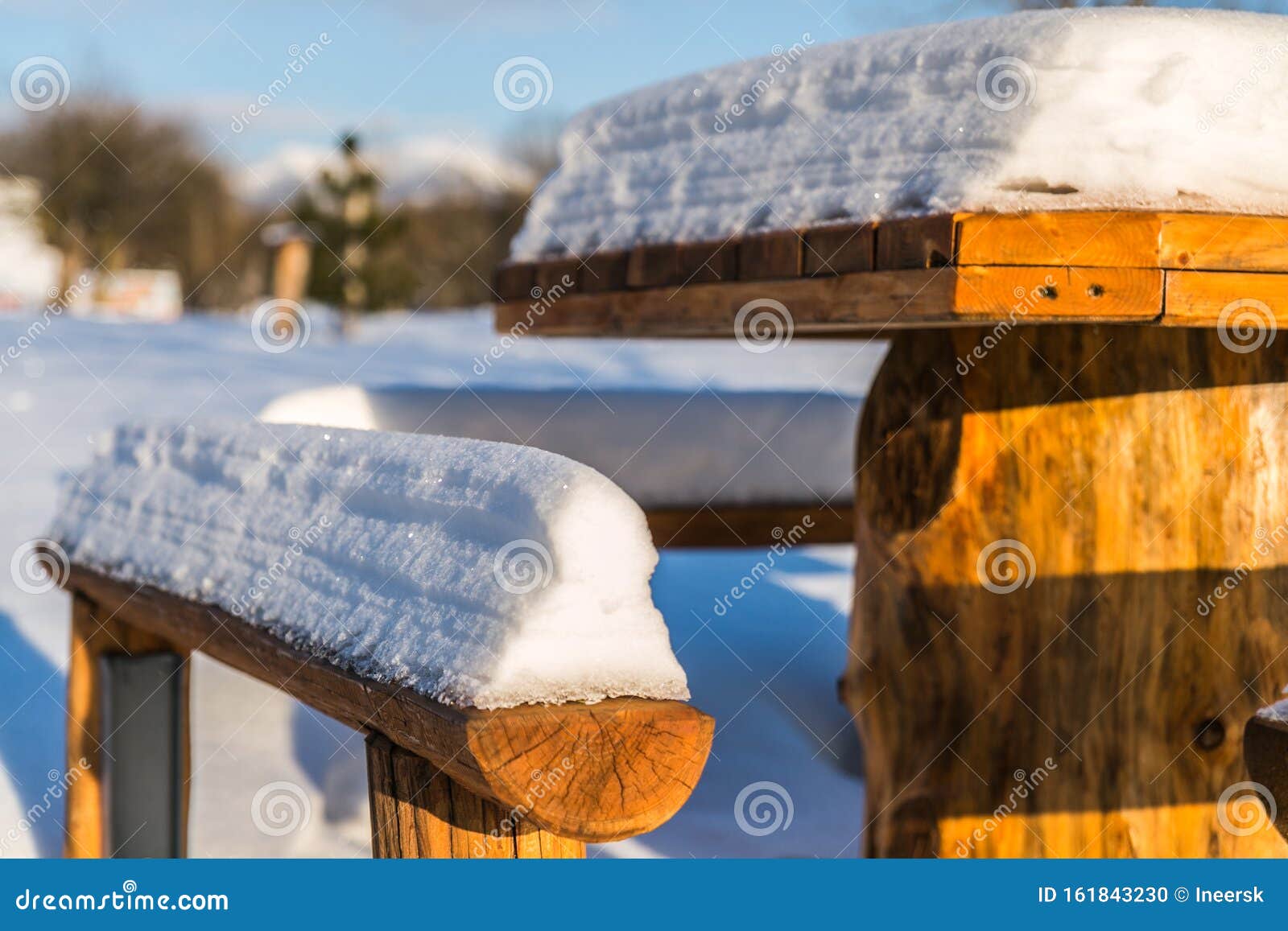 Bench in Winter Covered with Snow in a Winter Sunny Day Stock Photo ...