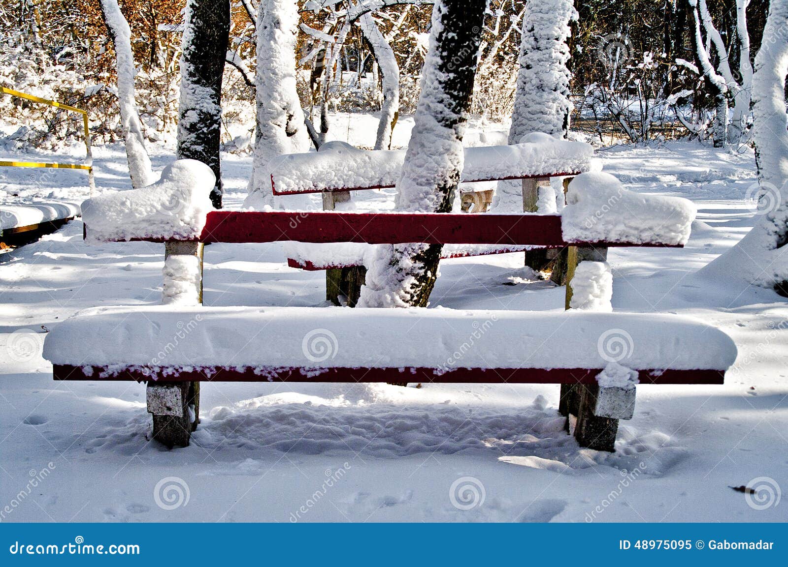 Bench in winter forest stock image. Image of forest, nature - 48975095