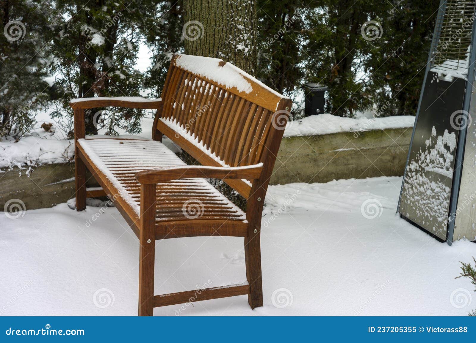 Bench in a winter garden stock image. Image of cold - 237205355