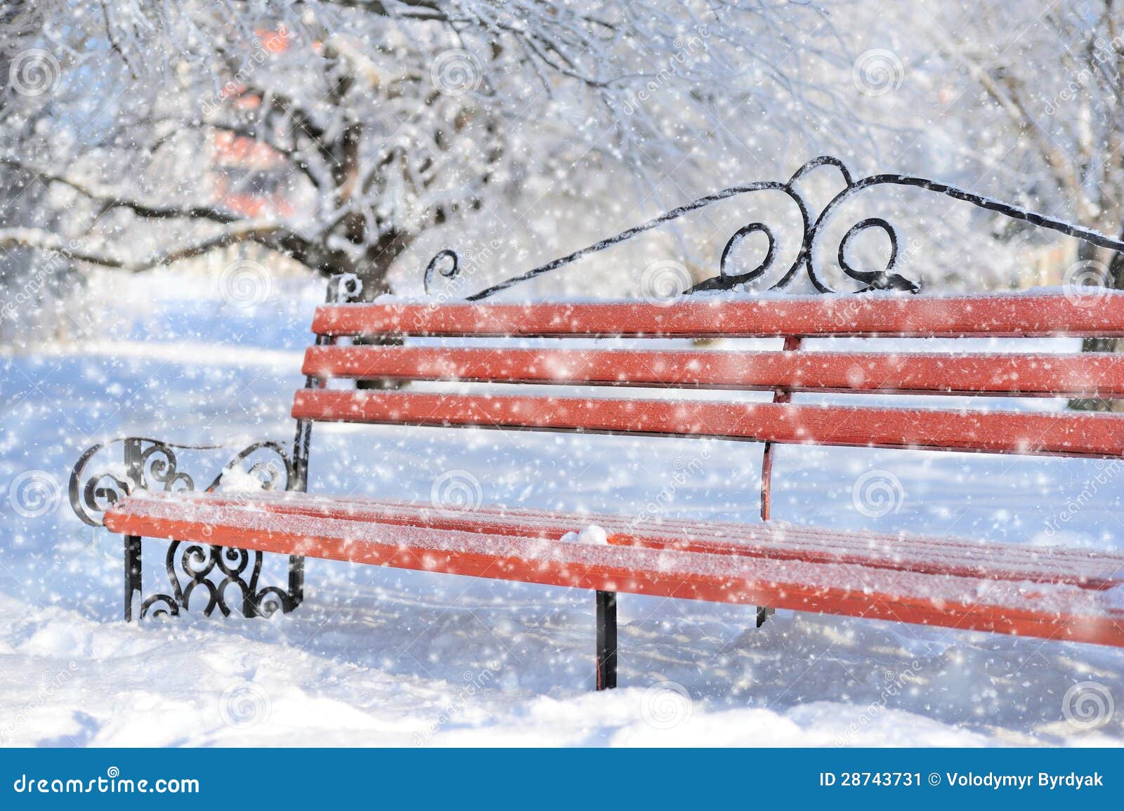 Bench in winter park stock image. Image of frost, january - 28743731