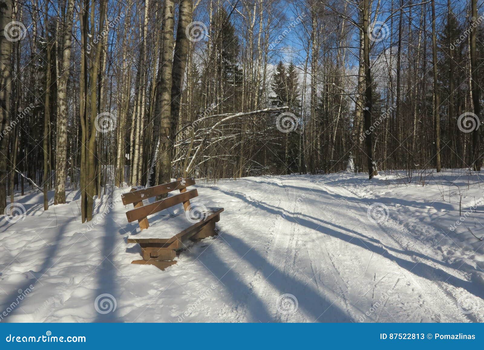 Bench in winter park stock image. Image of rugged, forest - 87522813