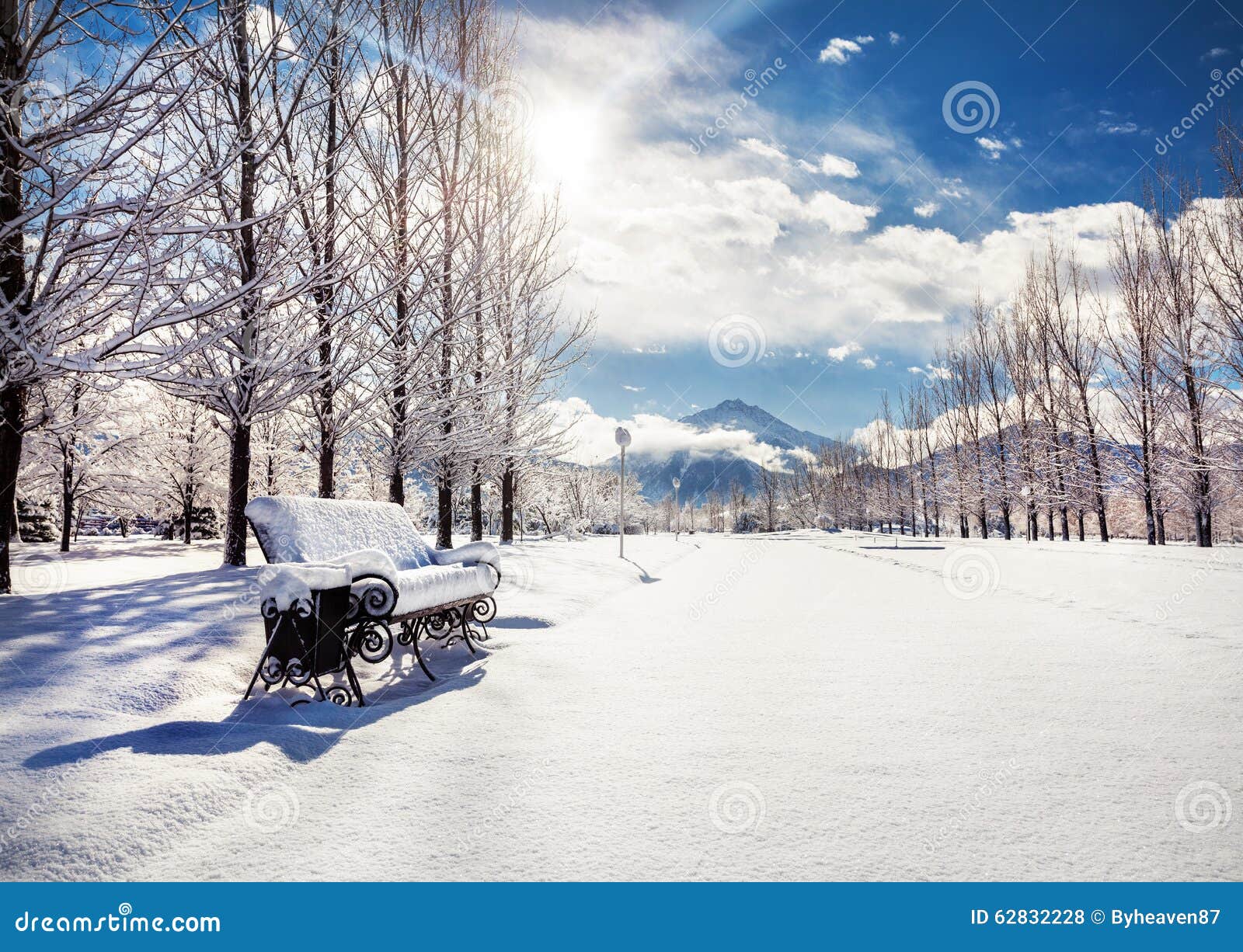 Bench in winter park stock photo. Image of outdoor, bench - 62832228