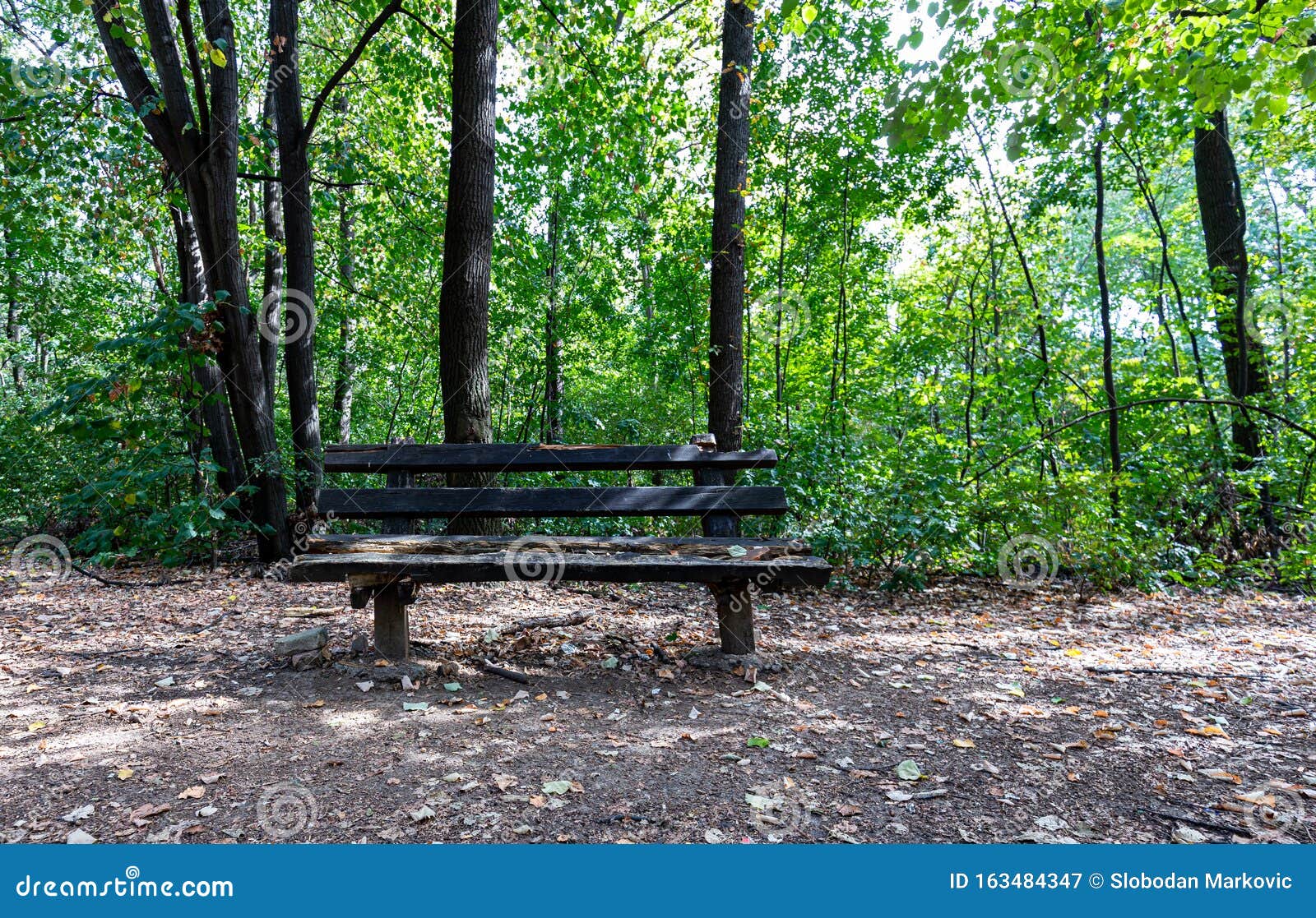 Bench in the Wood, Nice Quiet Place Stock Image - Image of cloudy ...