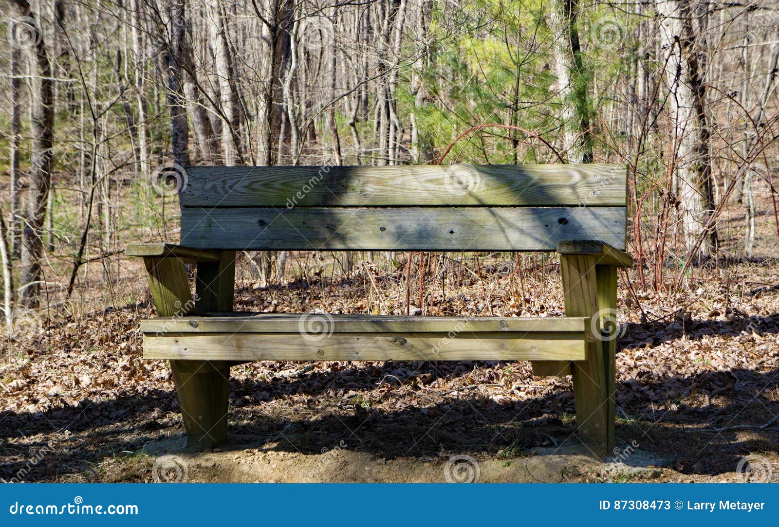 Bench in the Woods stock image. Image of hike, magical - 87308473