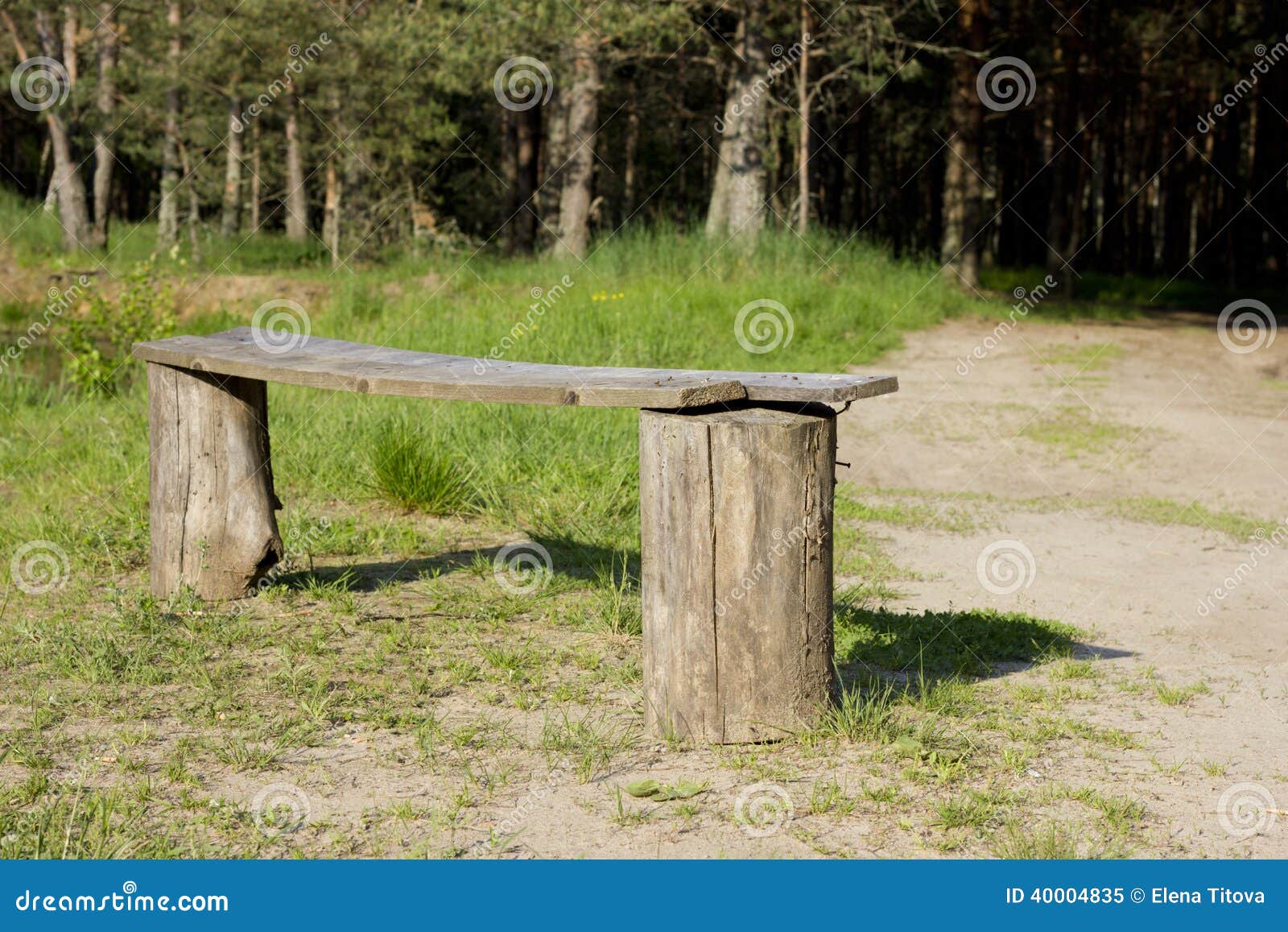 Bench in the woods stock image. Image of seat, colourful - 40004835