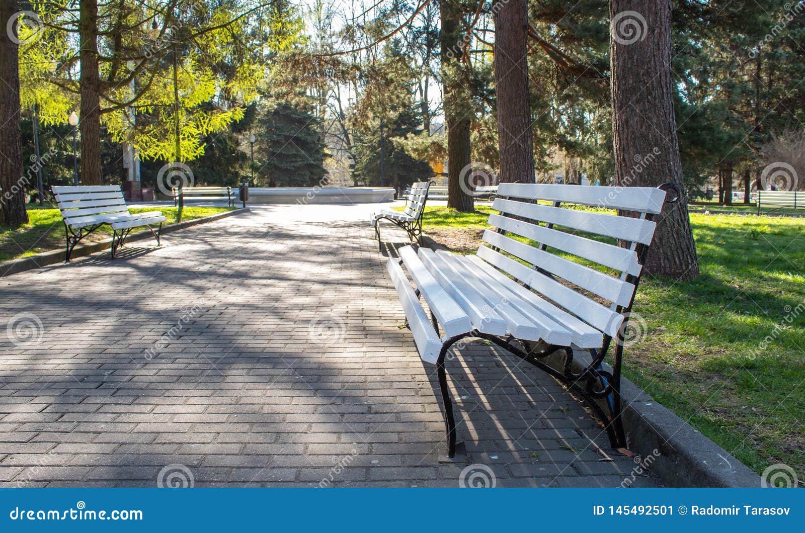 Benches on the Alley in the Park on the Early Morning Stock Image ...