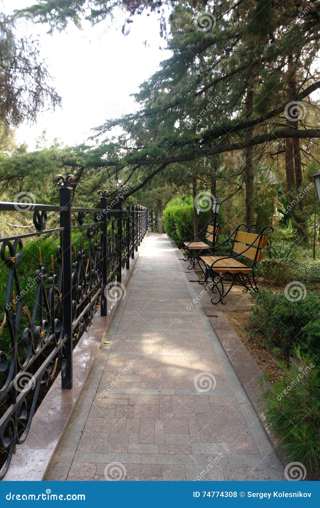 Benches Along the Walkway in the Park Stock Photo - Image of nature ...