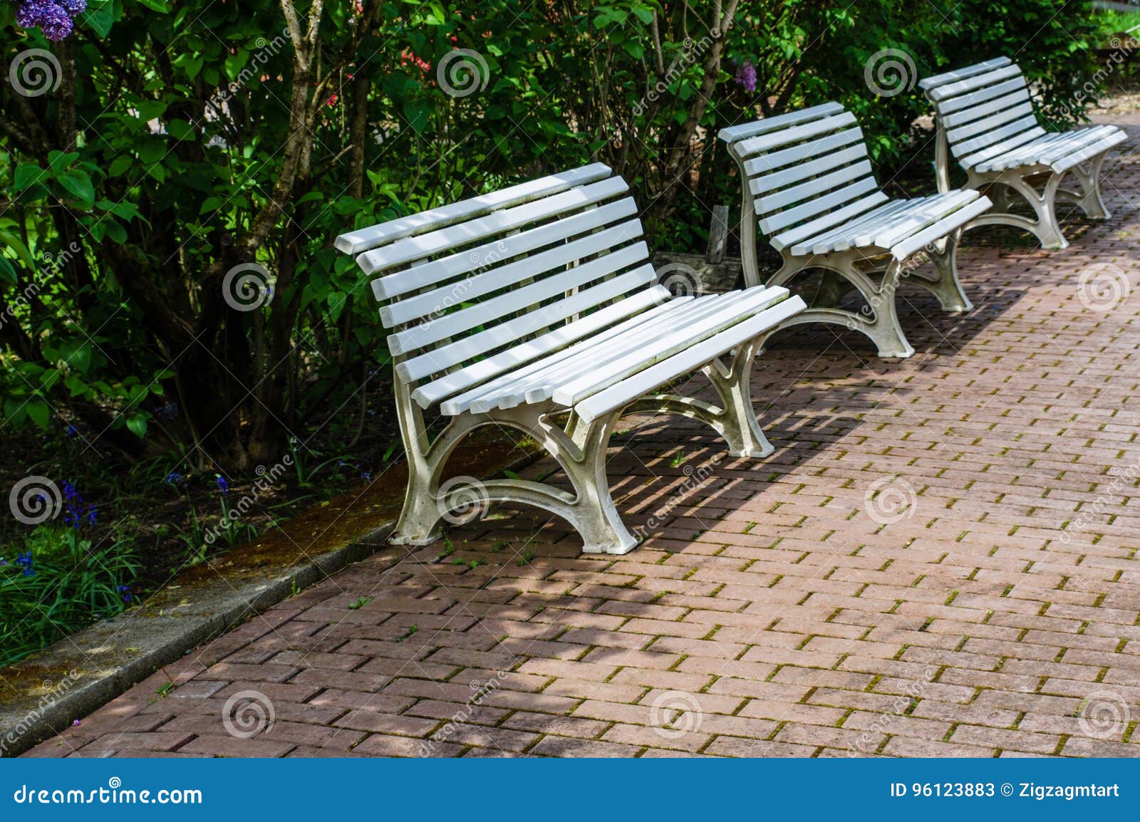 Benches Along a Walkway in a Park Stock Image - Image of park, walk ...