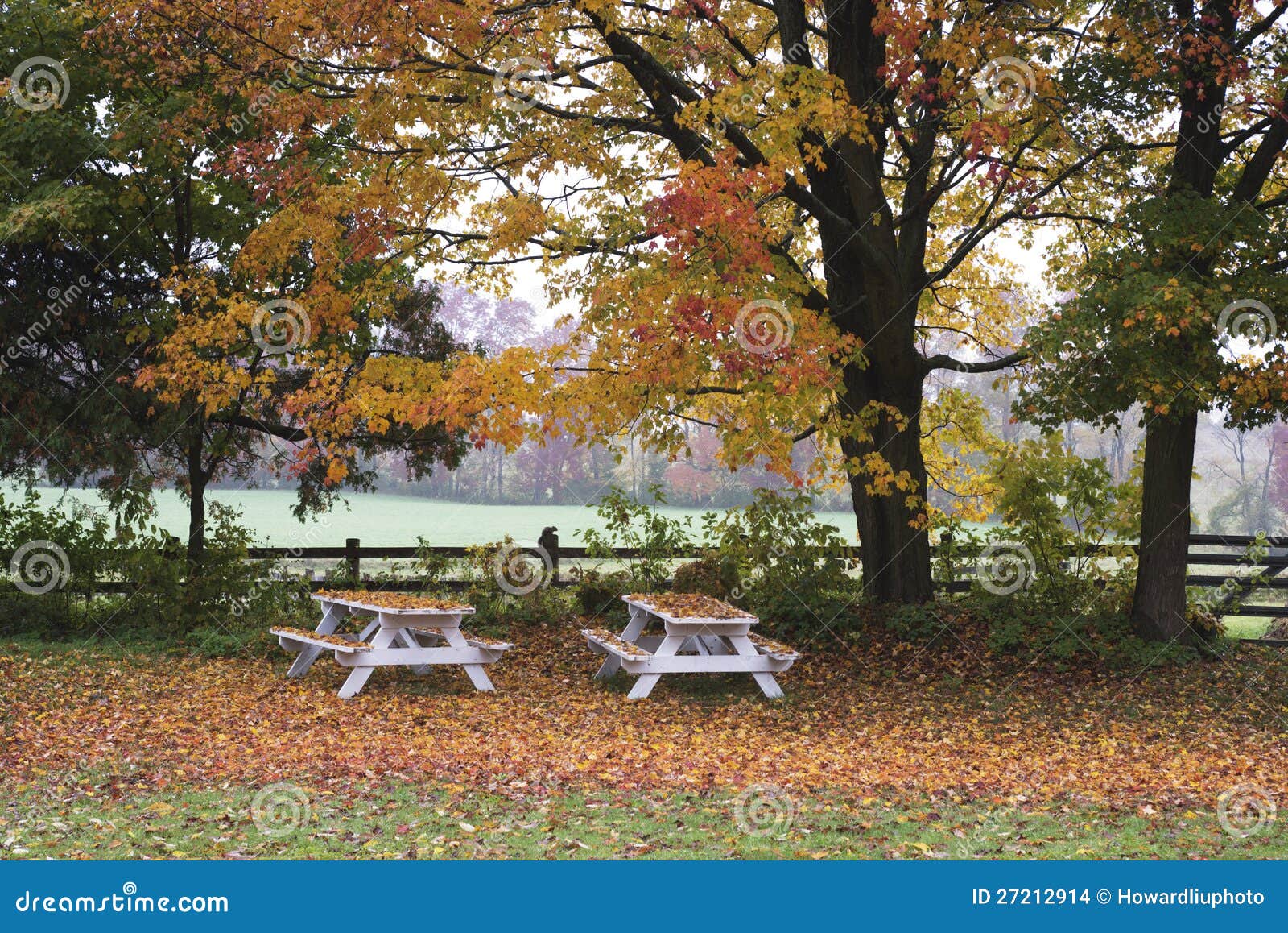 Benches in Autumn stock photo. Image of morning, benches - 27212914