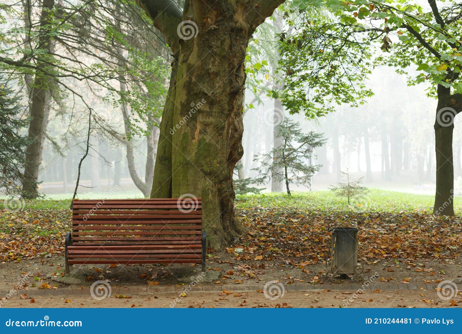 Benches in the Autumn Park Beautiful Landscape Stock Image - Image of ...