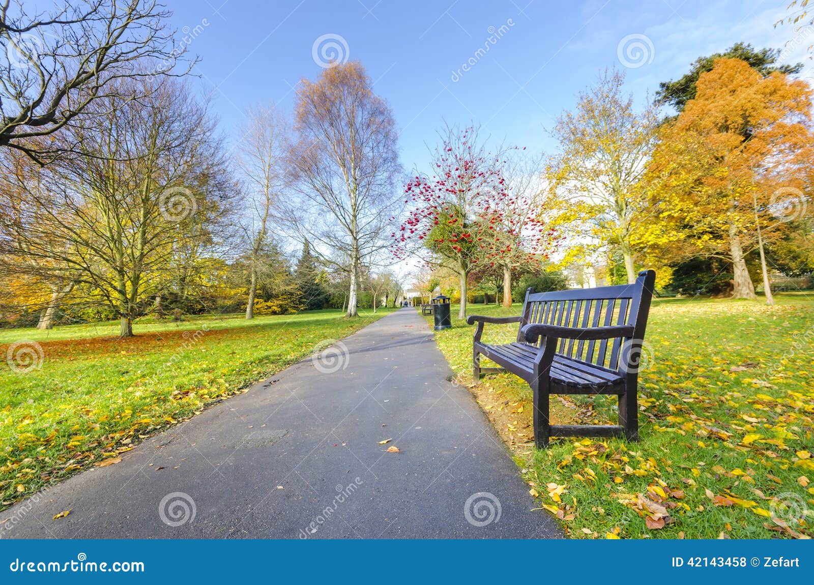 Benches in autumn park stock photo. Image of autumn, grass - 42143458