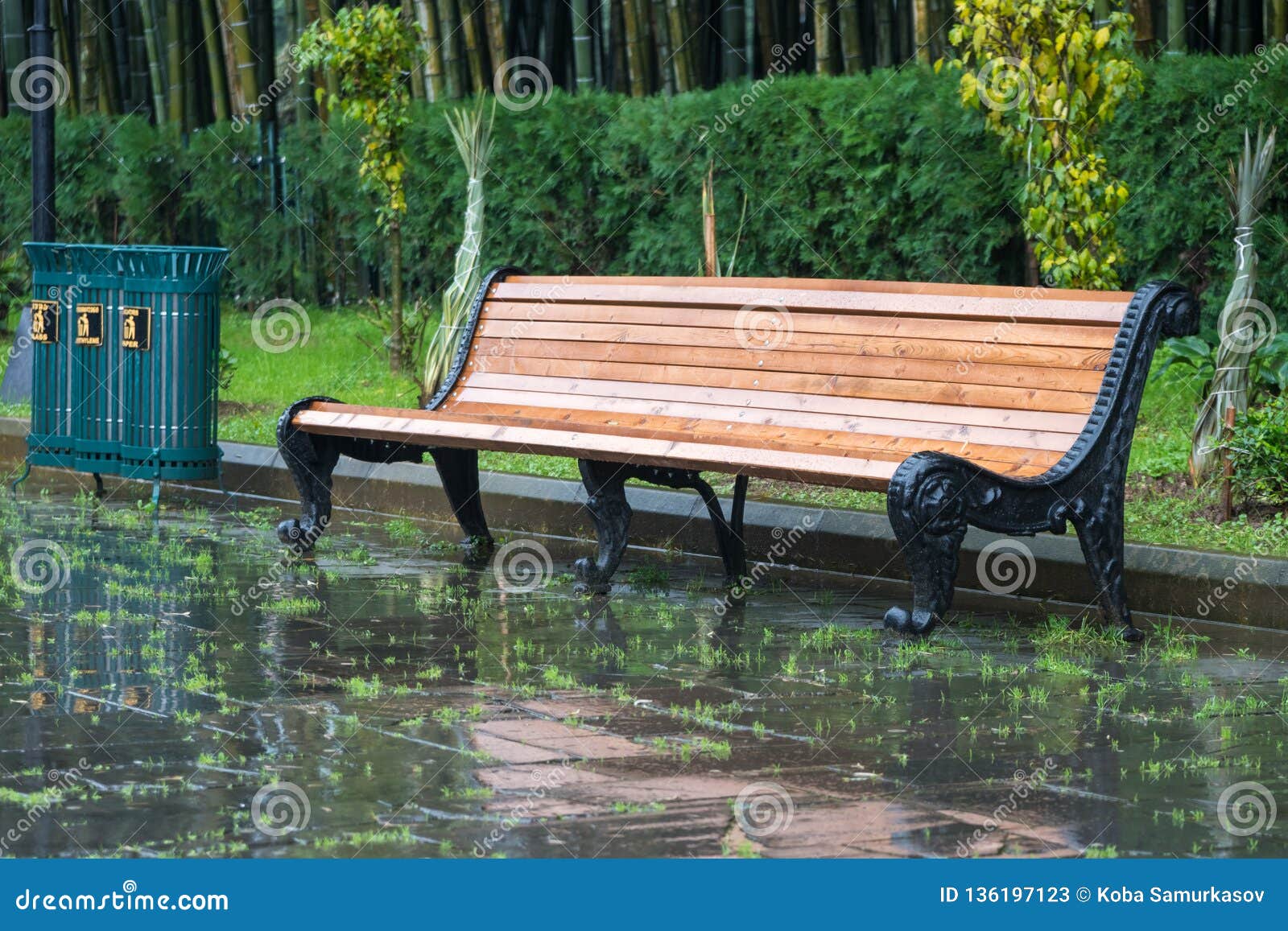Benches in the Batumi Park on a Rainy Day Stock Image - Image of wood ...