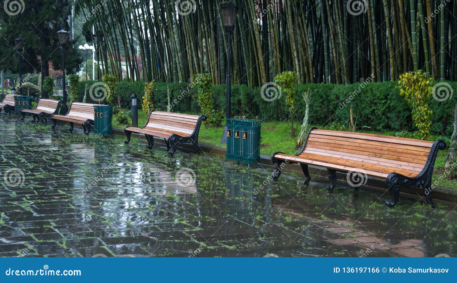 Benches in the Batumi Park on a Rainy Day Stock Photo - Image of paved ...