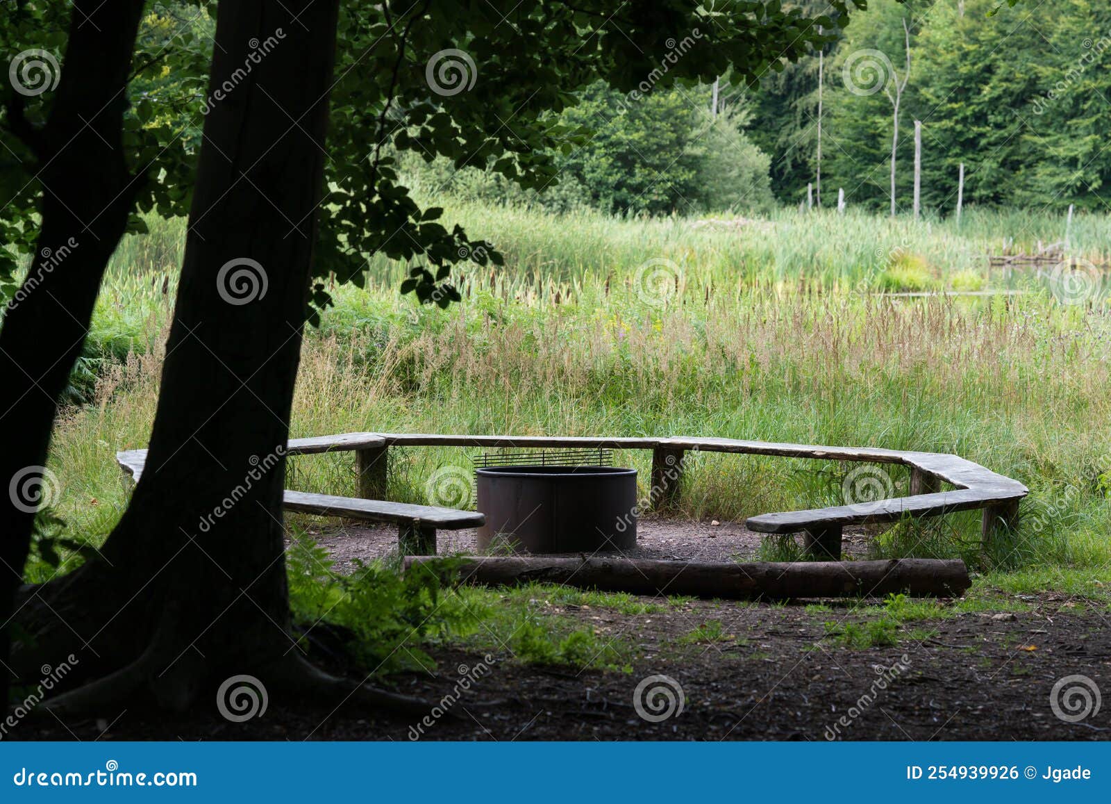Benches in the forest stock photo. Image of grass, grid - 254939926