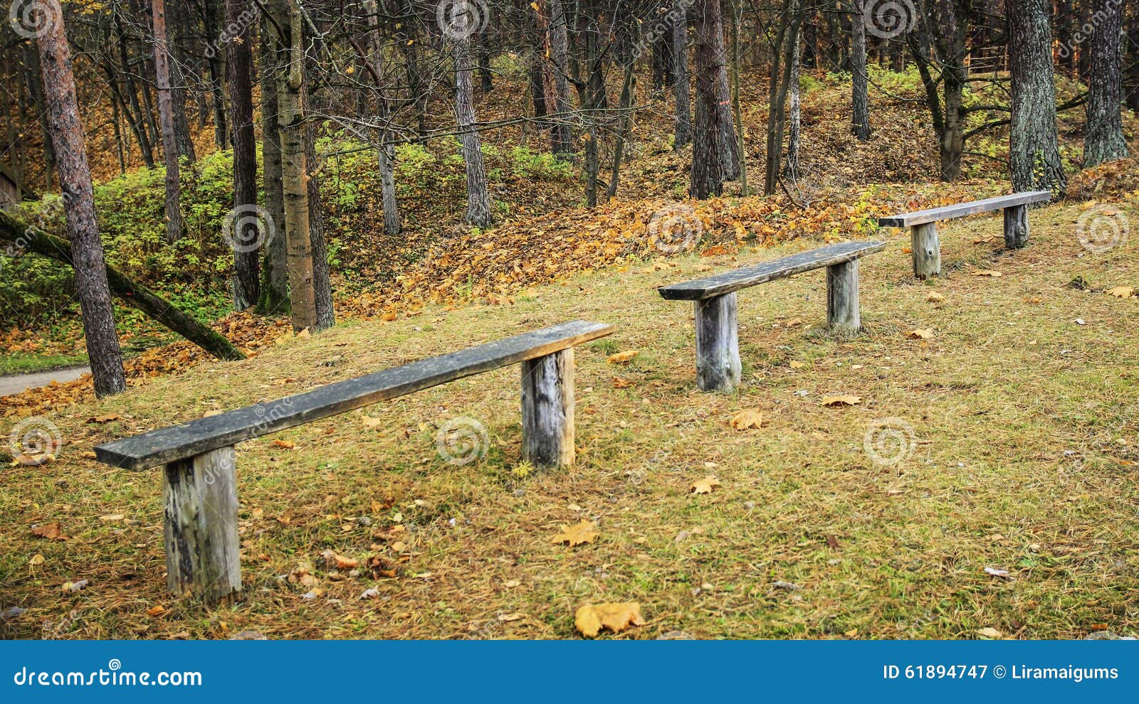 Benches in the forest stock image. Image of country, side - 61894747