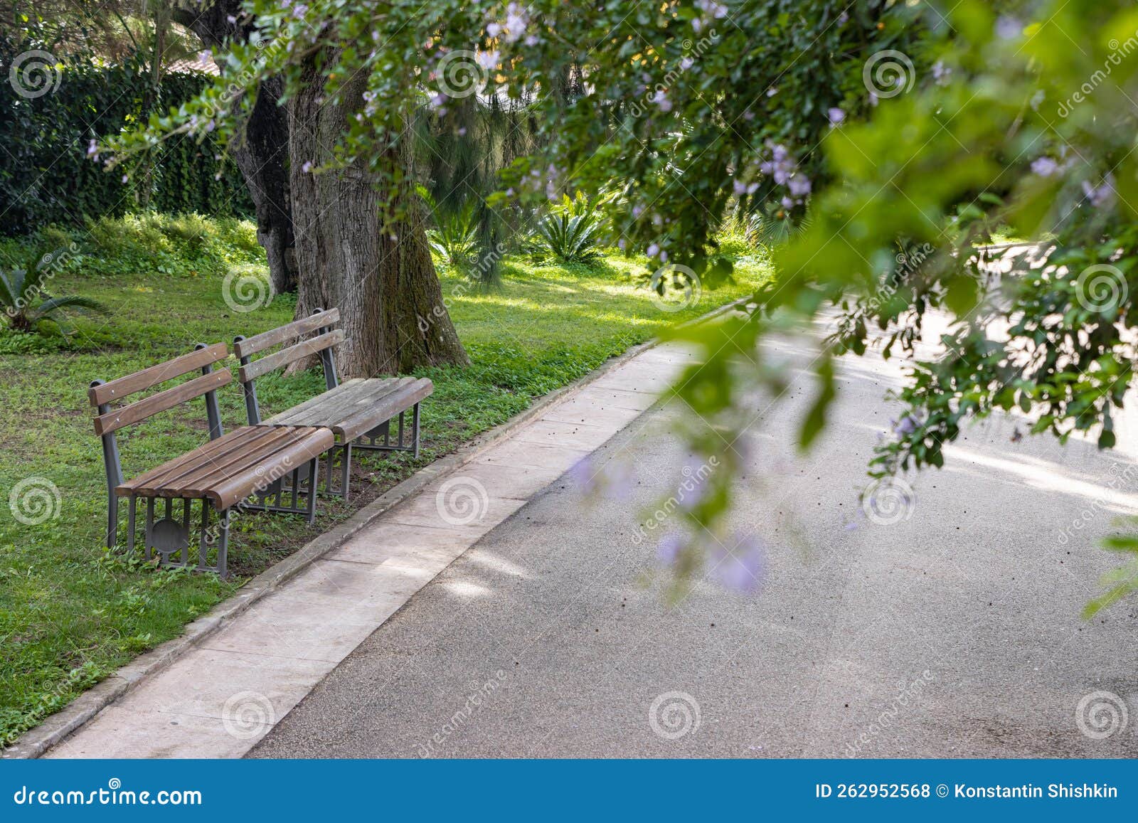 Benches in a Green Park by Empty Walking Path Stock Photo - Image of ...