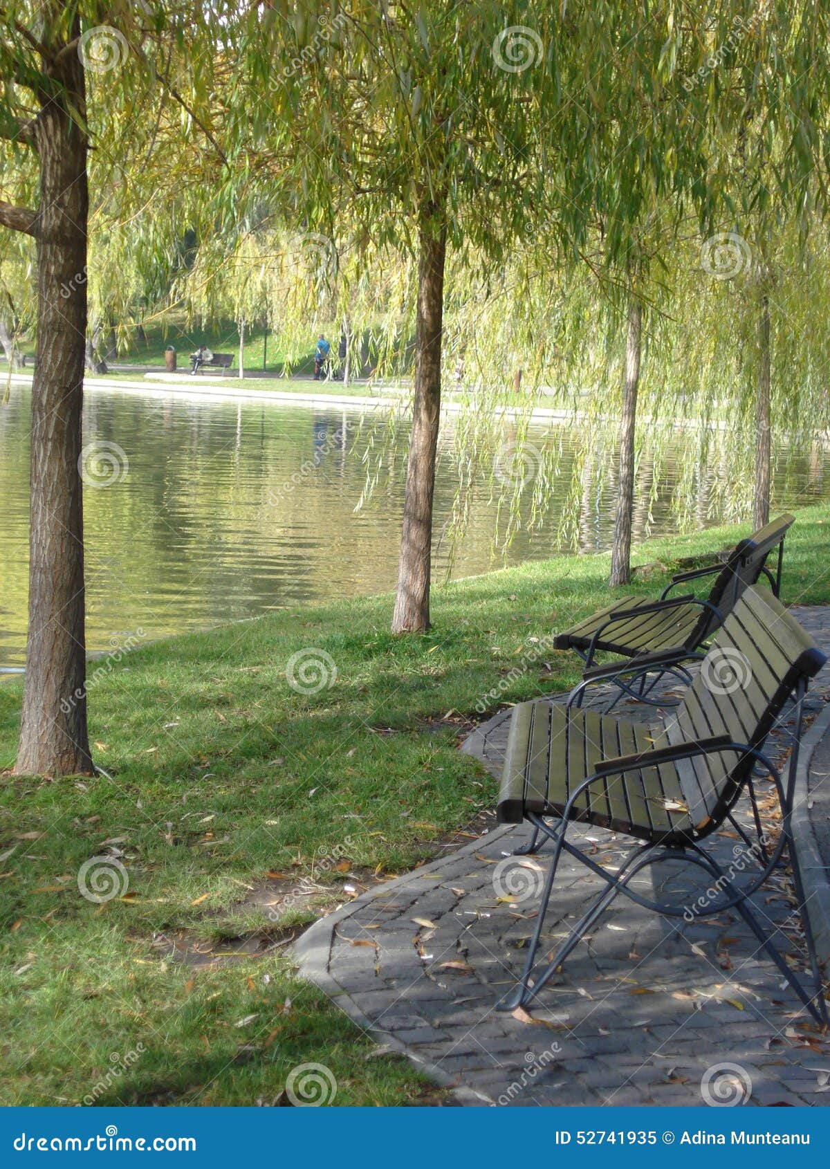 Benches on Lake Shore in Park Stock Image - Image of nature, bench ...