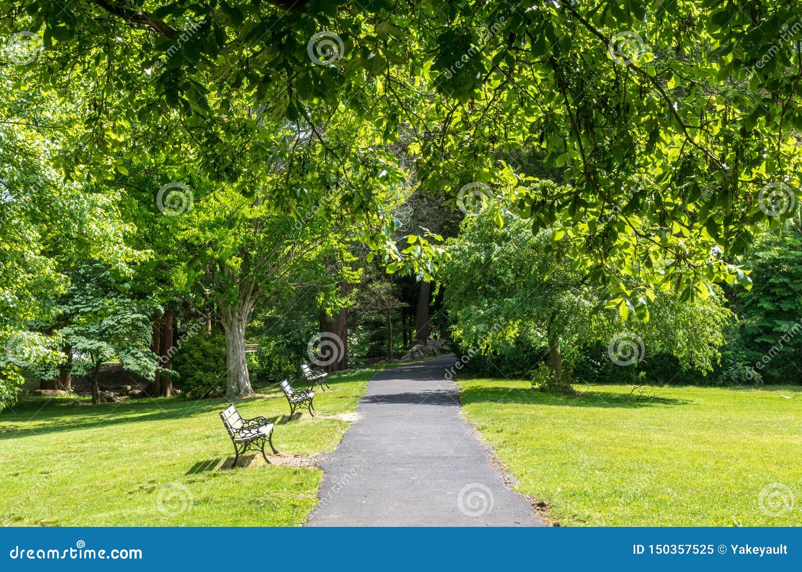 Benches Near a Path into the Trees Stock Image - Image of paved, summer ...