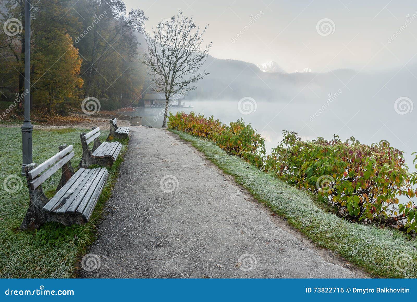 Benches Near Walkway on Lake Stock Photo - Image of orange, leaf: 73822716