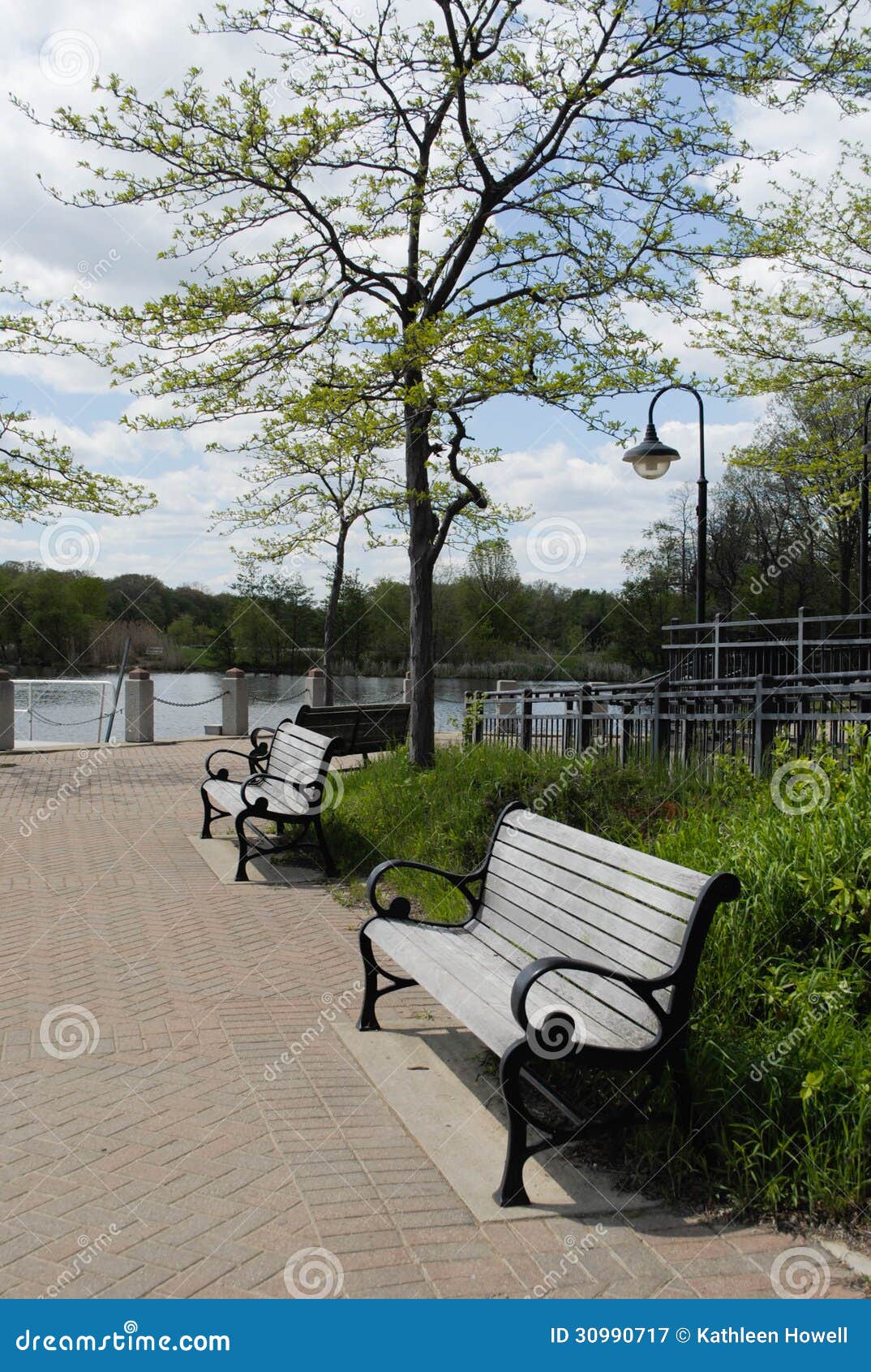 Benches Near the Waterfront Stock Image - Image of treeline, lake: 30990717