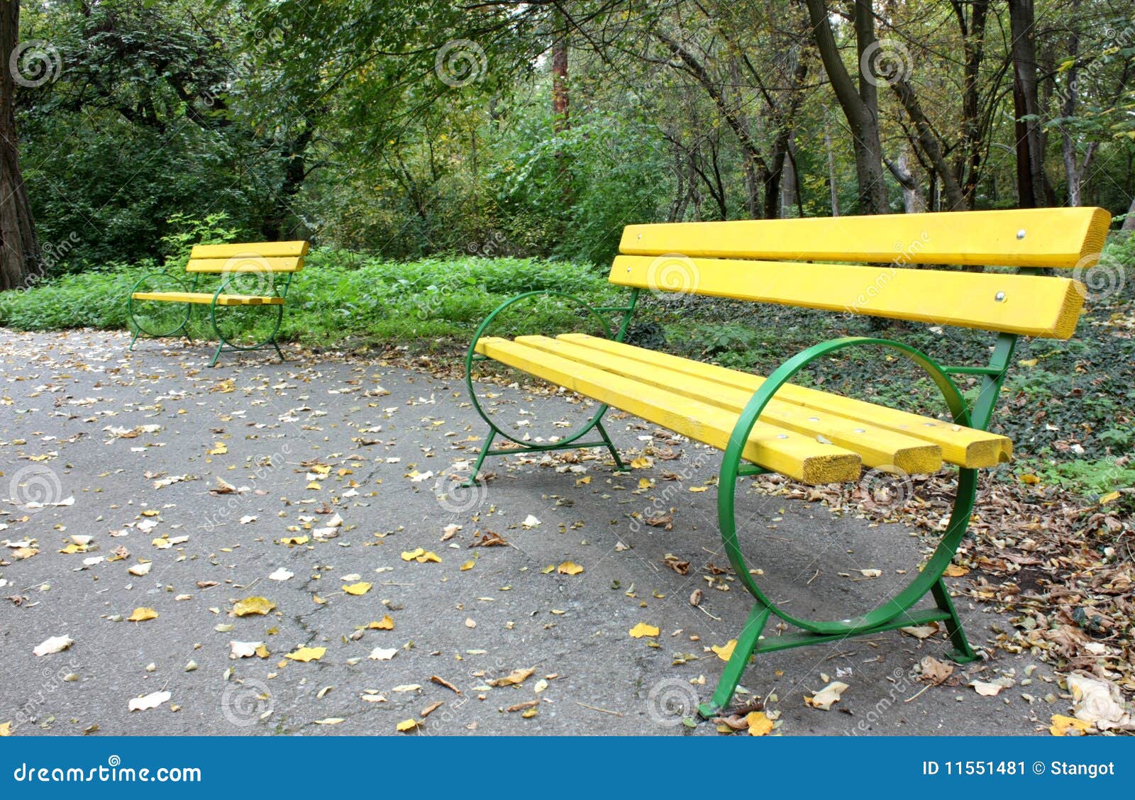 Benches in the park stock image. Image of green, wooden - 11551481