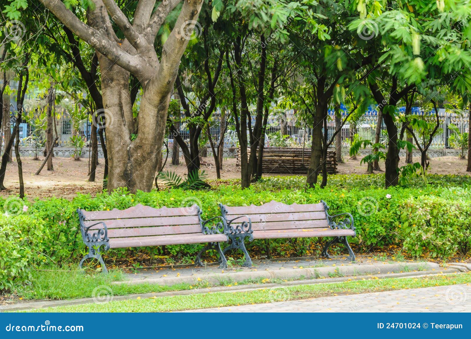 Benches in the park stock photo. Image of brown, relaxation - 24701024