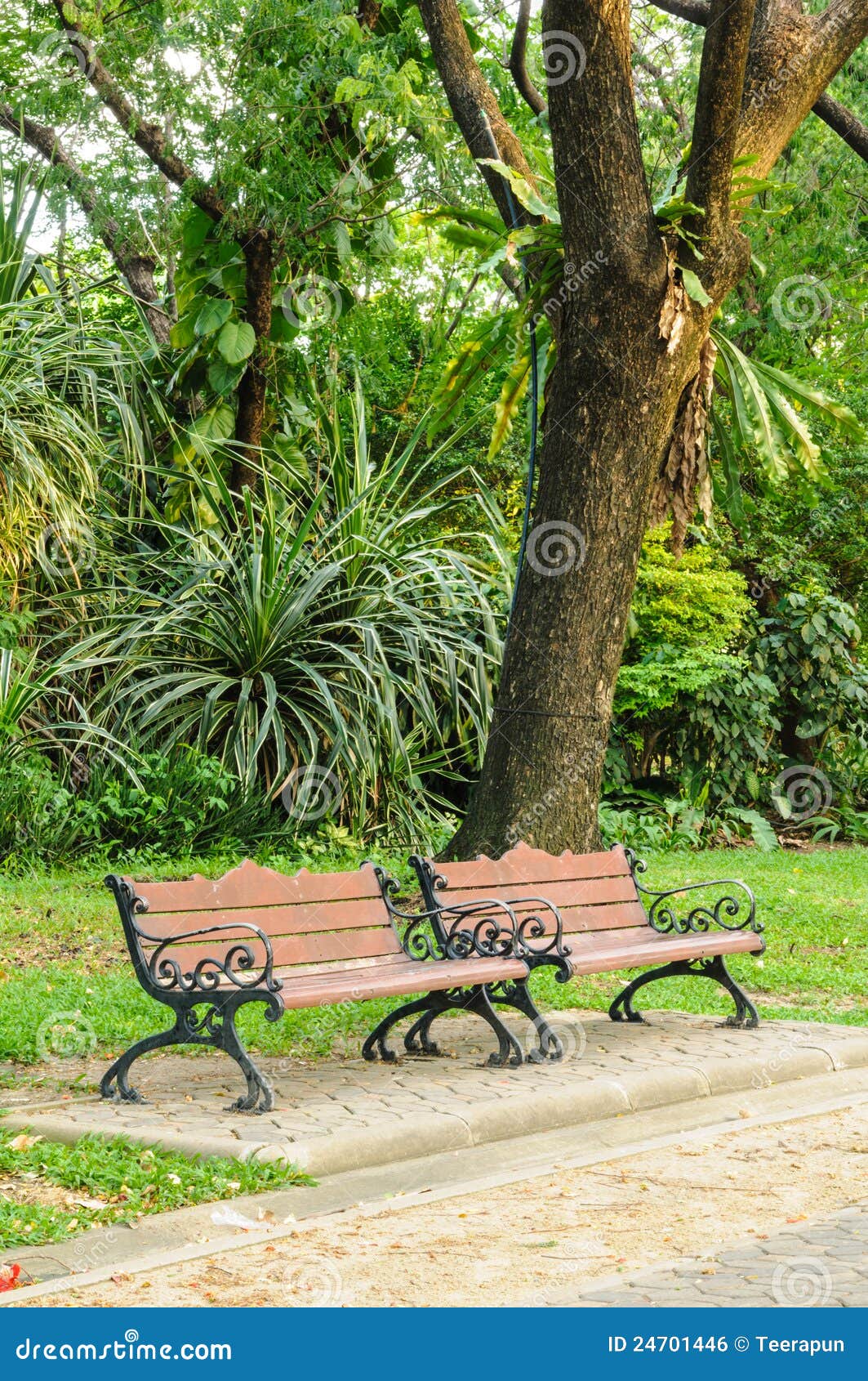 Benches in the park stock photo. Image of park, garden - 24701446