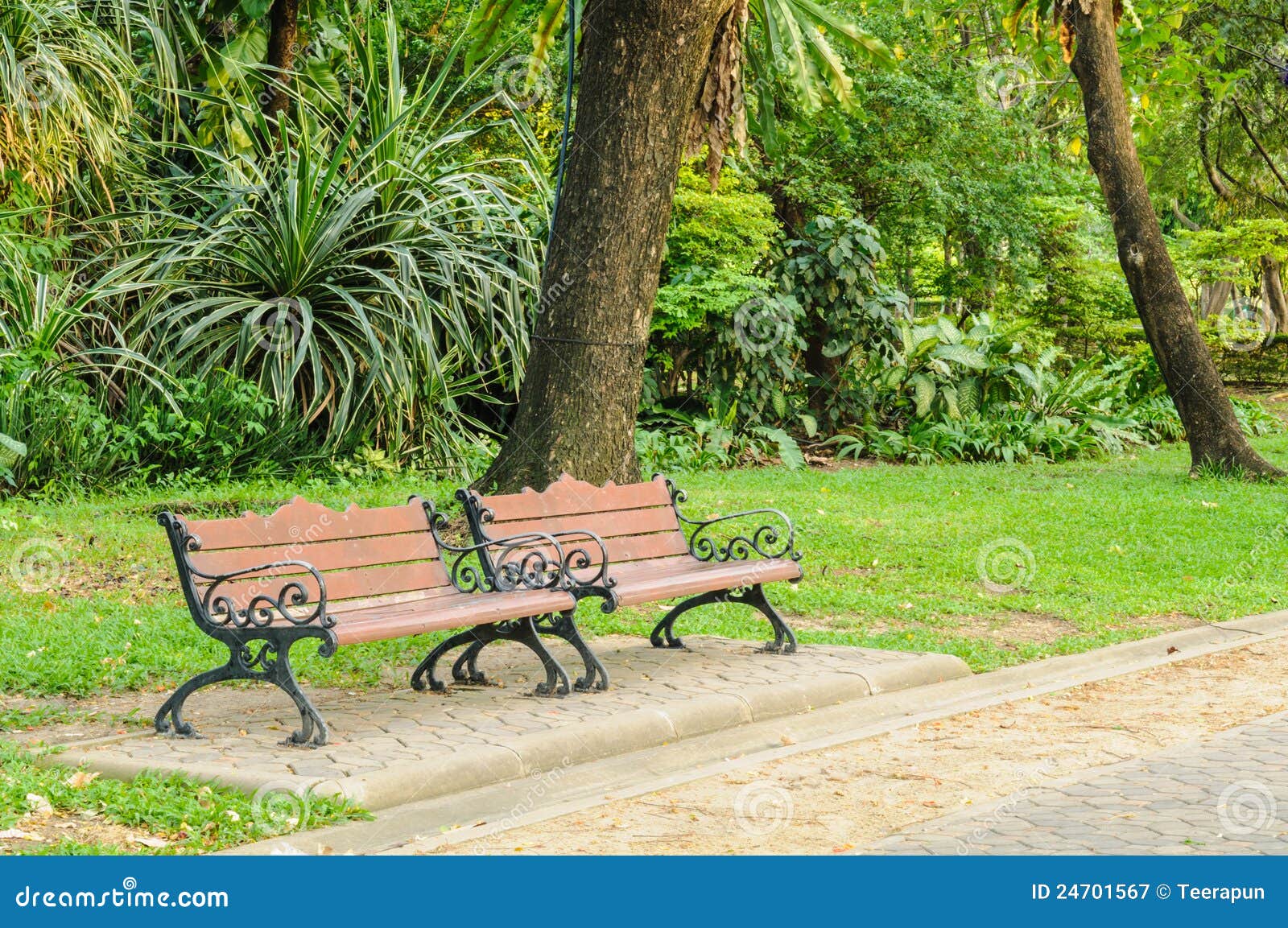 Benches in the park stock image. Image of city, lawn - 24701567