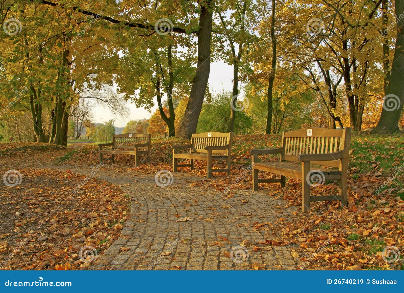 Benches in the park stock image. Image of park, path - 26740219