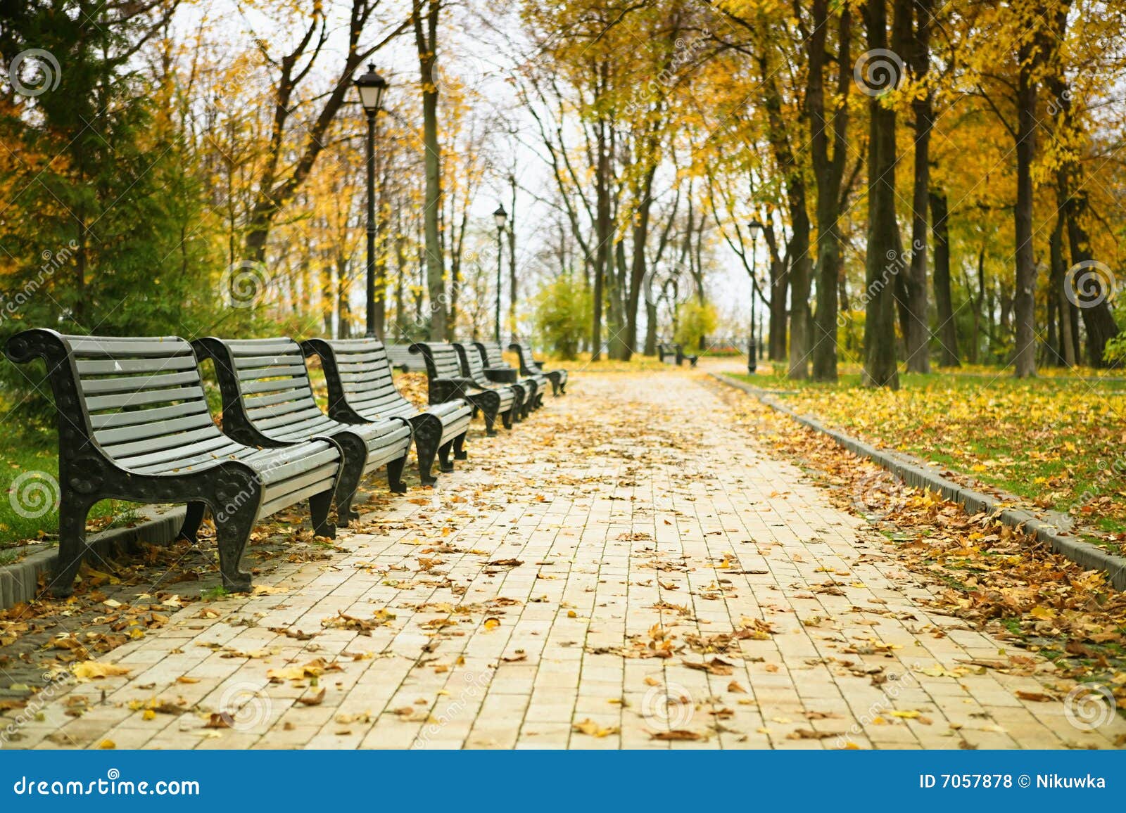 Benches in the park stock photo. Image of landscape, colours - 7057878