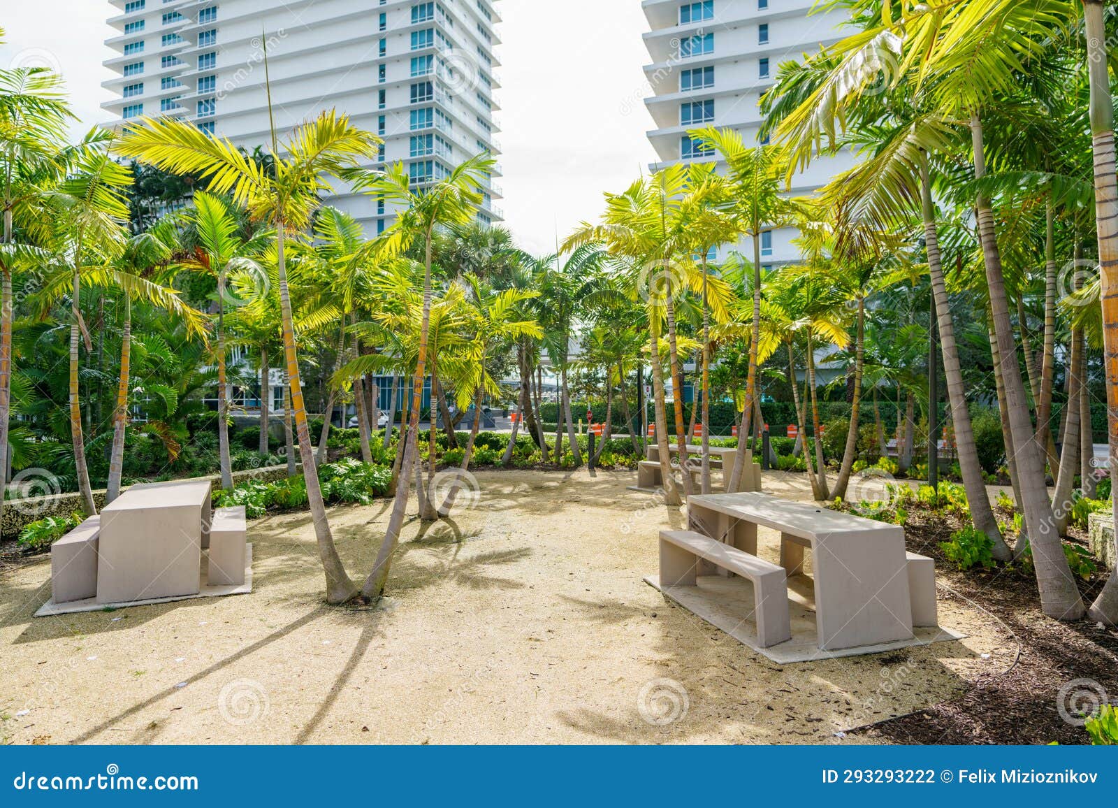 Benches in the Park Canopy Park Miami Beach Florida Stock Photo - Image ...
