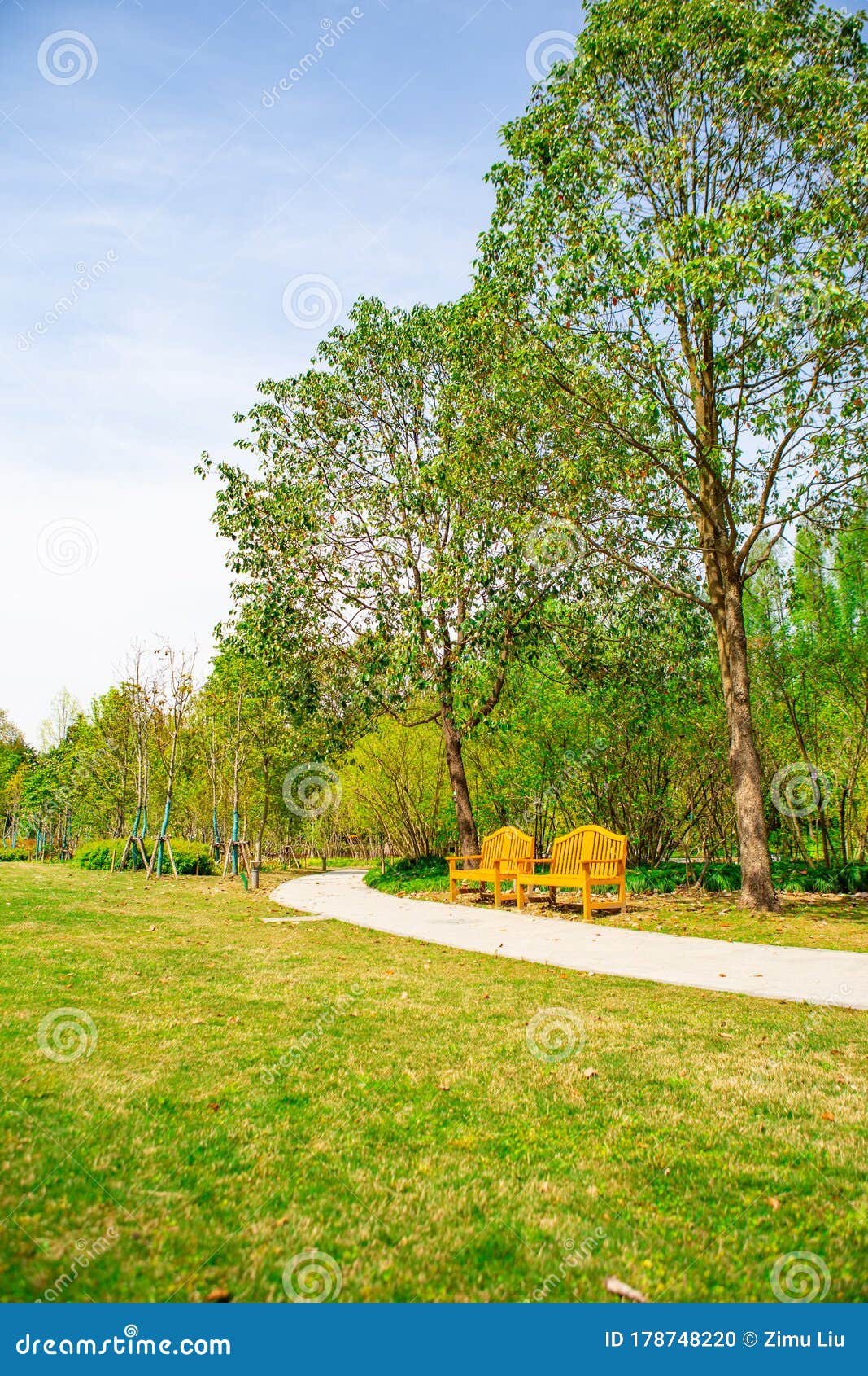 Benches in a park stock photo. Image of ground, detail - 178748220