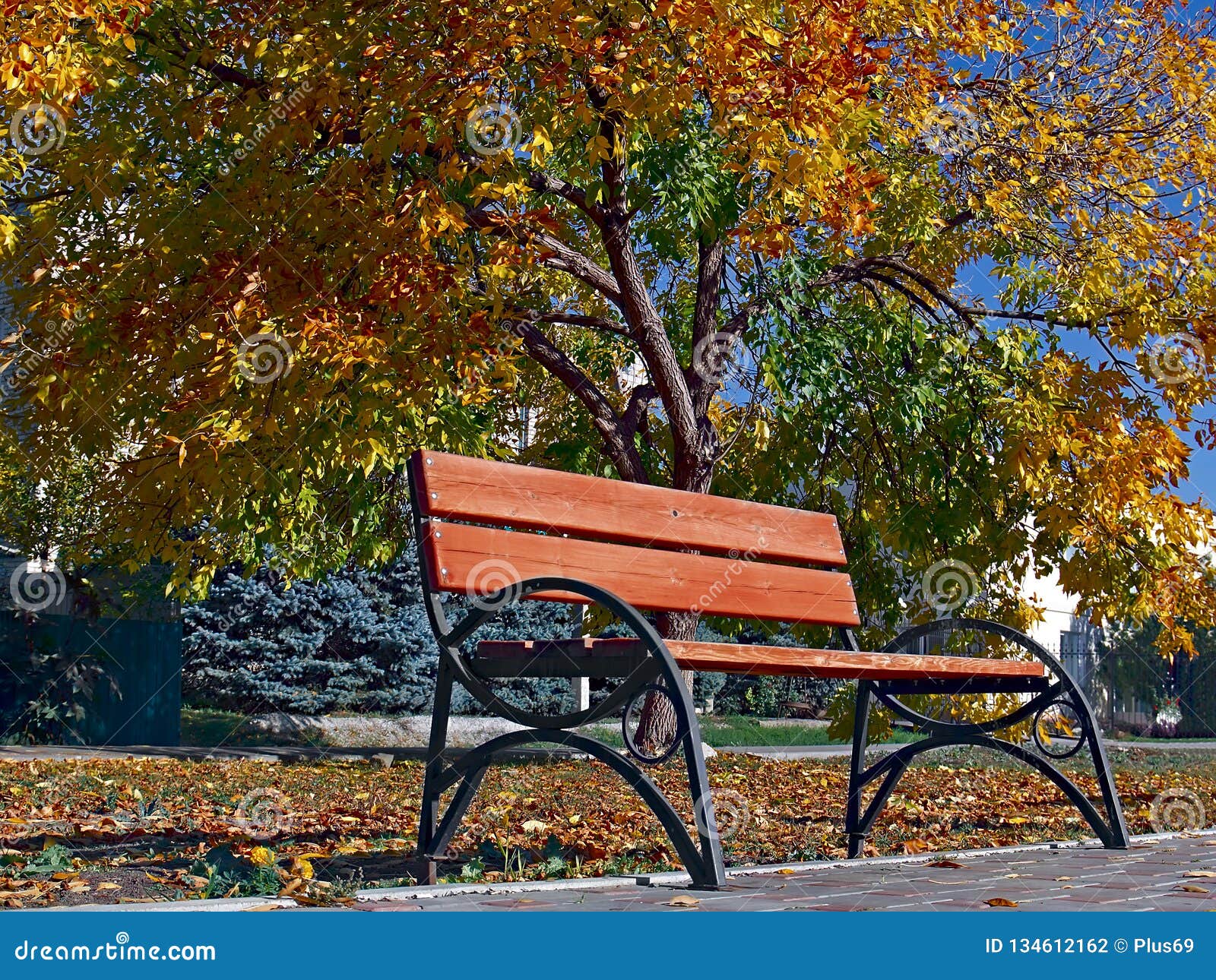Benches for Rest in the Autumn Park Stock Photo - Image of cover ...