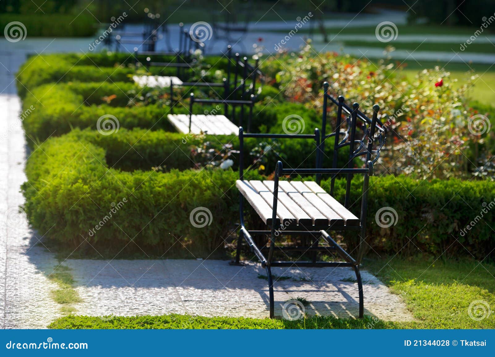Benches in a row stock photo. Image of grass, outdoors - 21344028