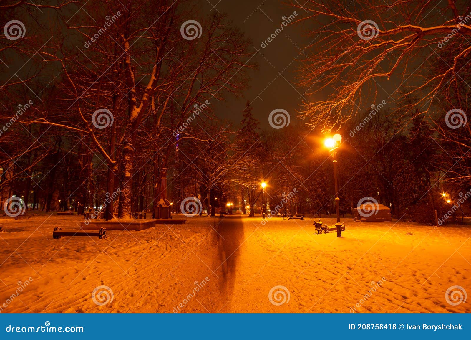 Benches in the Snow at Night in the Park Stock Photo - Image of winter ...