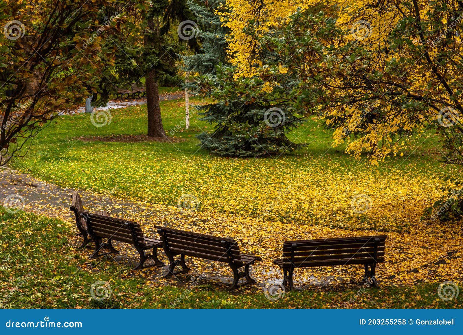 Benches To Sit and Rest in the Park Stock Photo - Image of morning ...